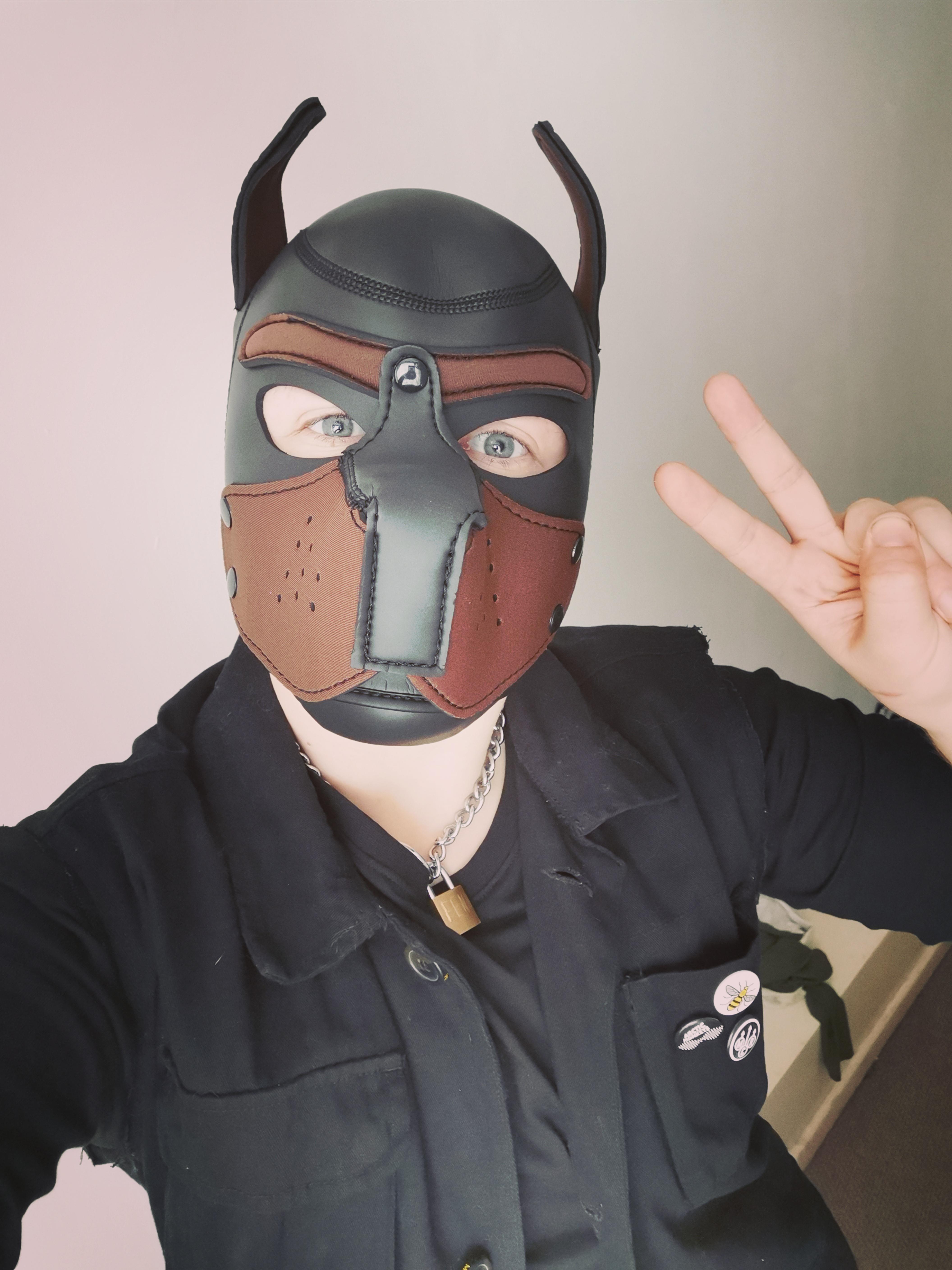 First post here, I hope ftm pups are welcome too! All you people are so handsome! *ruff* | Scrolller