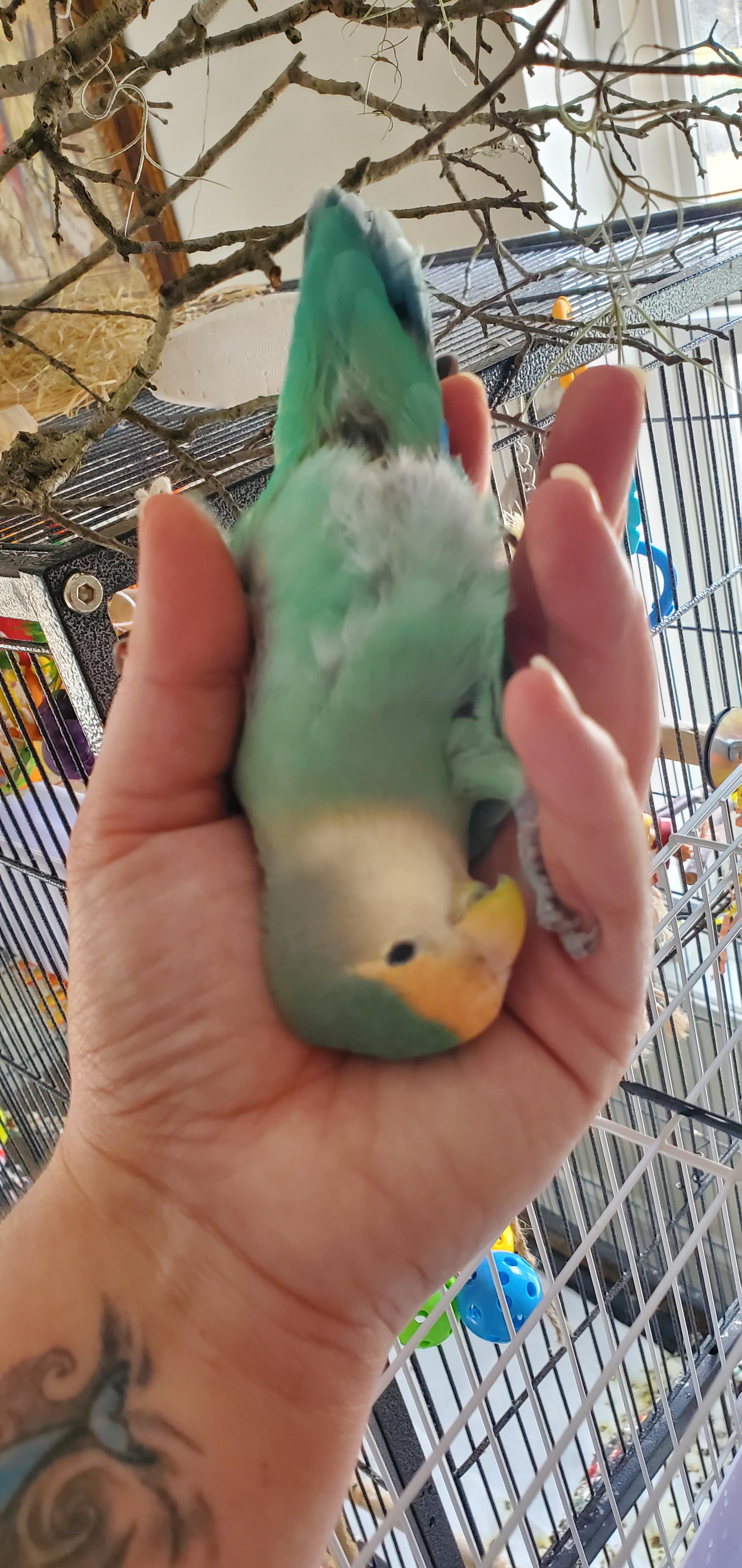 First she's sour... then maybe she's sweet. | Scrolller