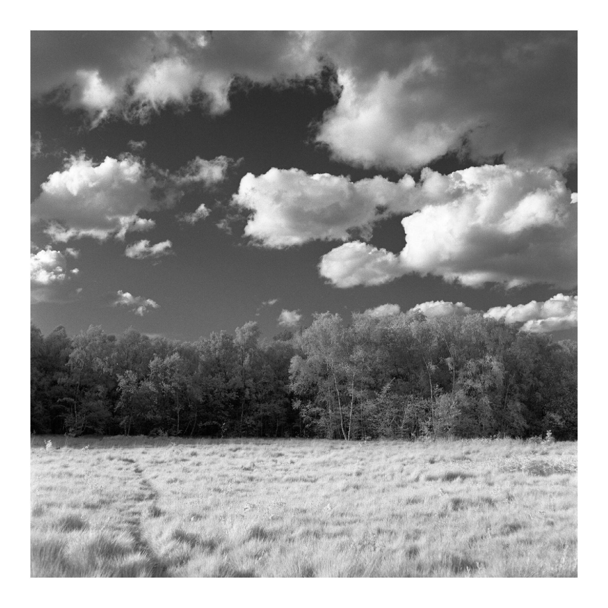 First shot. Mamiya C220 & Rollei 400 | Scrolller