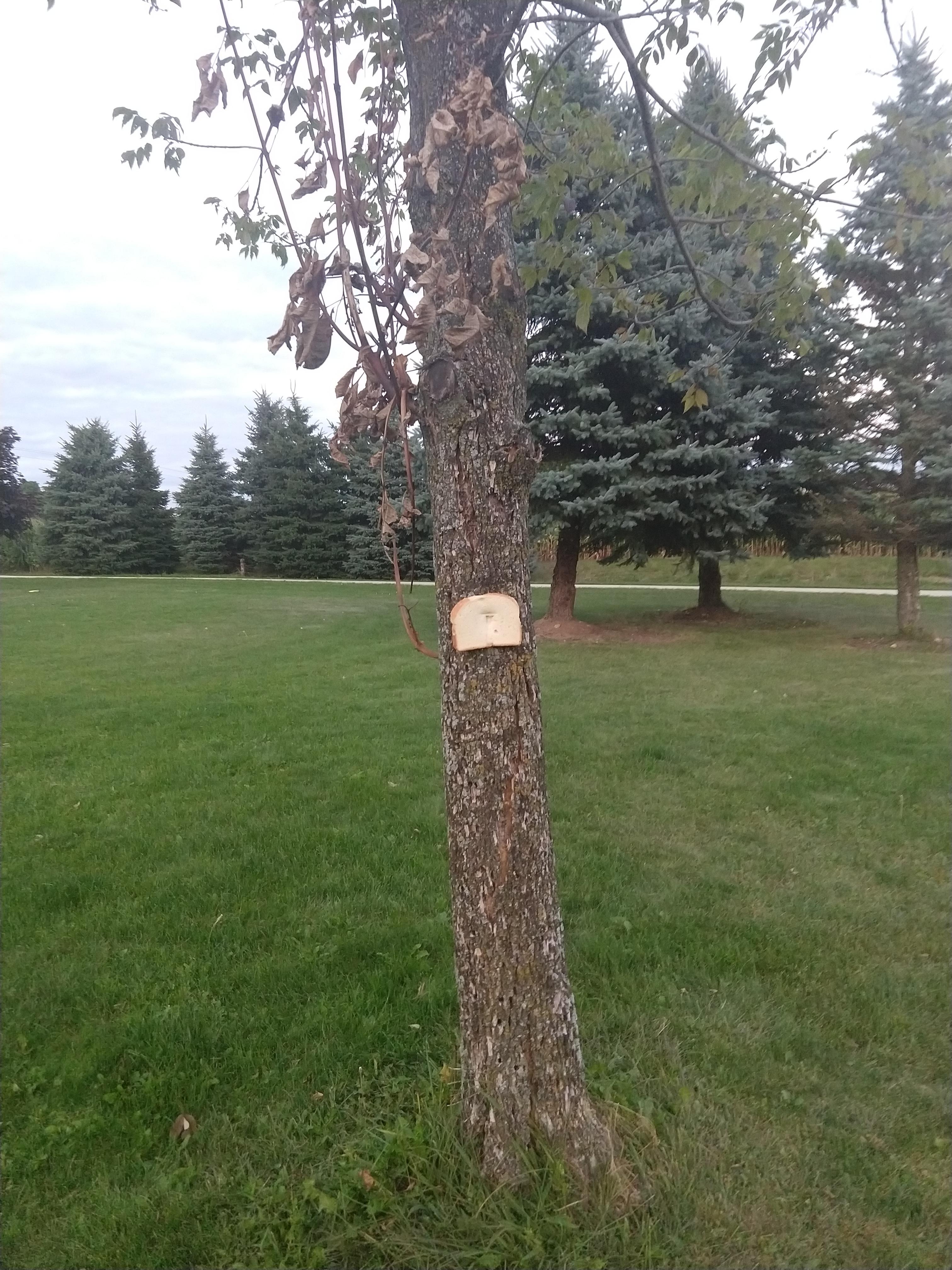 First staple, finally understand the meaning of life. | Scrolller