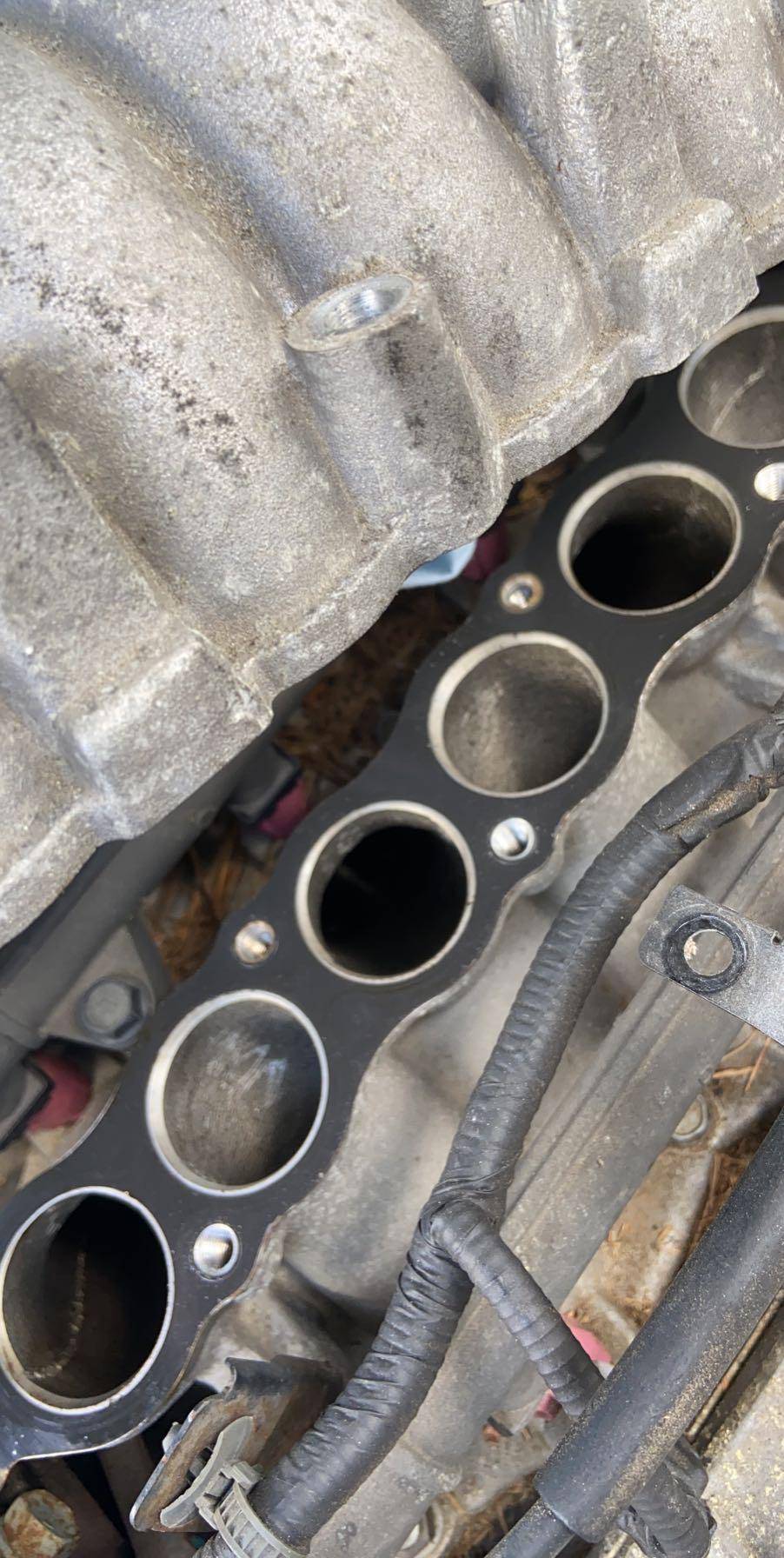 First time for everything | Scrolller