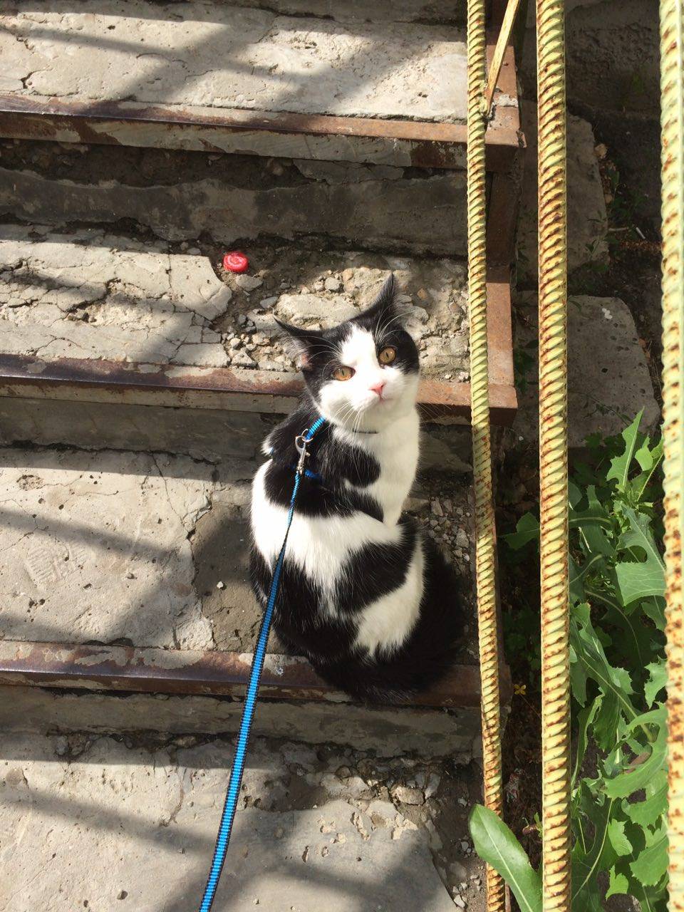 First time outside | Scrolller