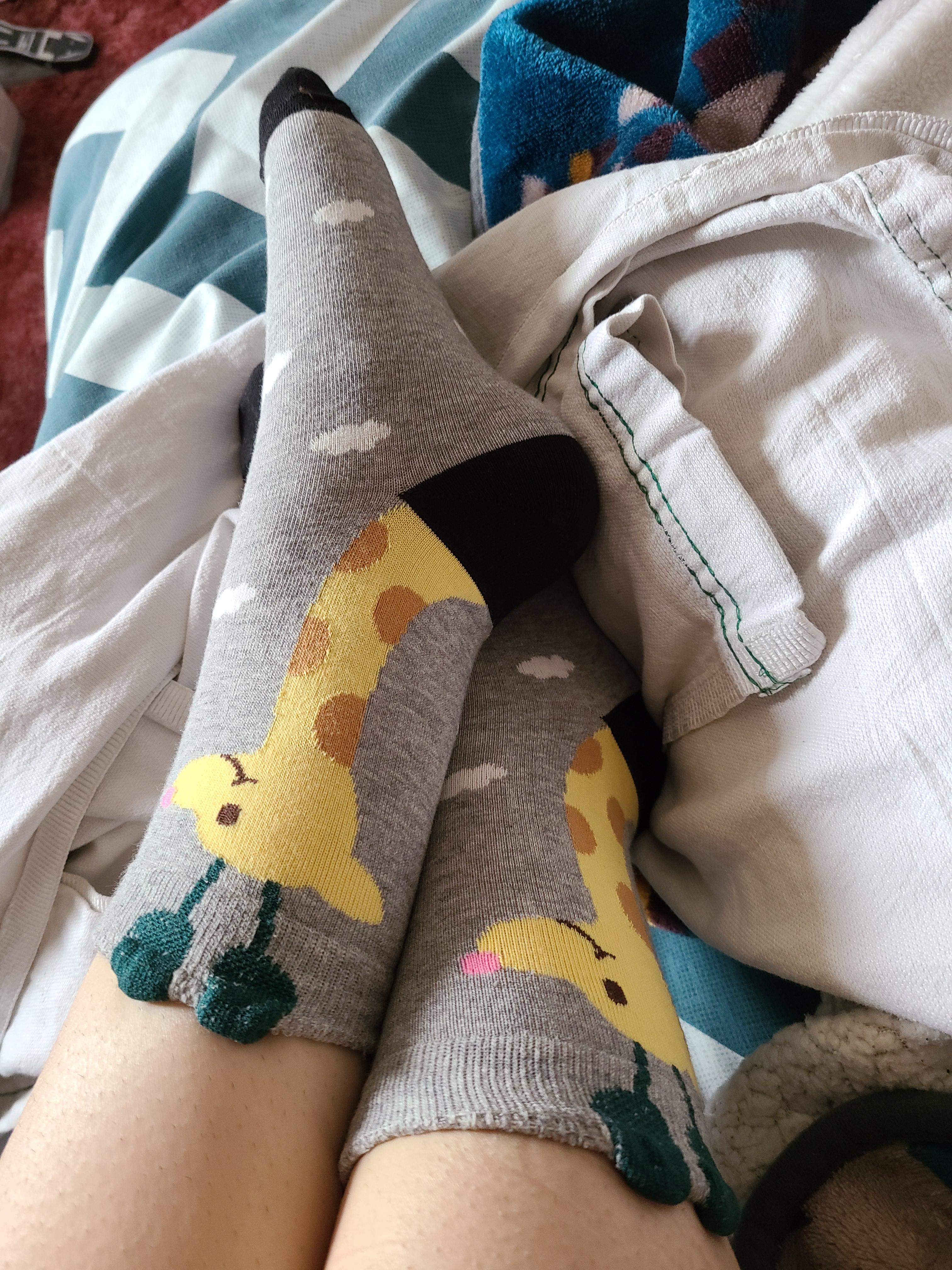 First time poster! DMs/PMs open! | Scrolller