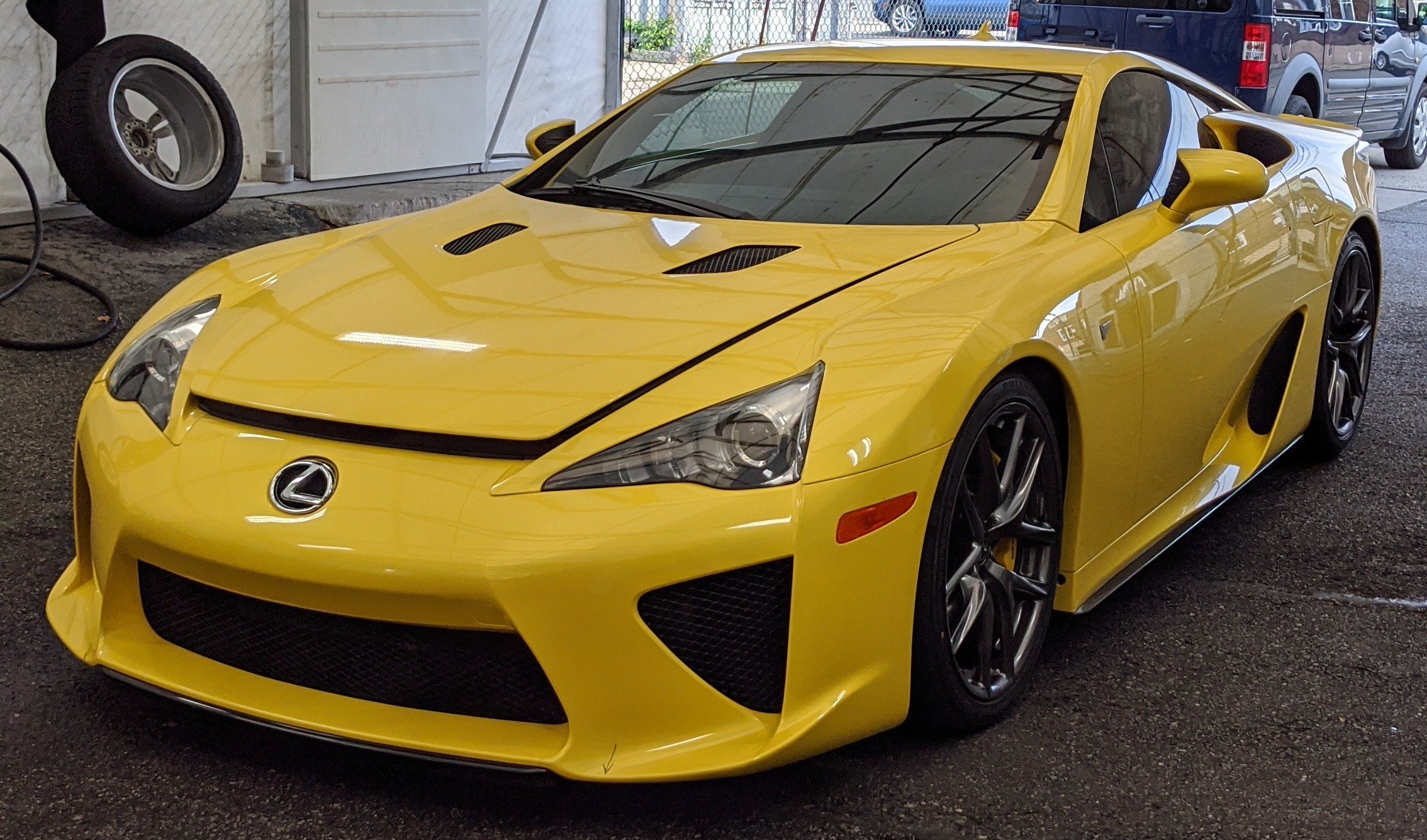 First time seeing one in the wild | Scrolller