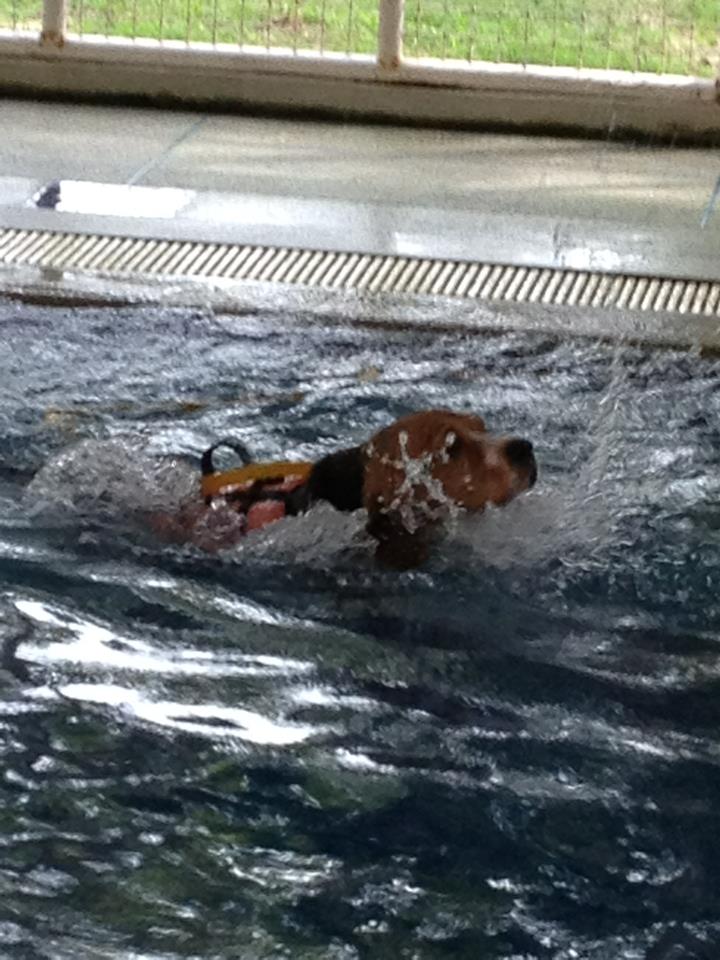 First time swimming | Scrolller