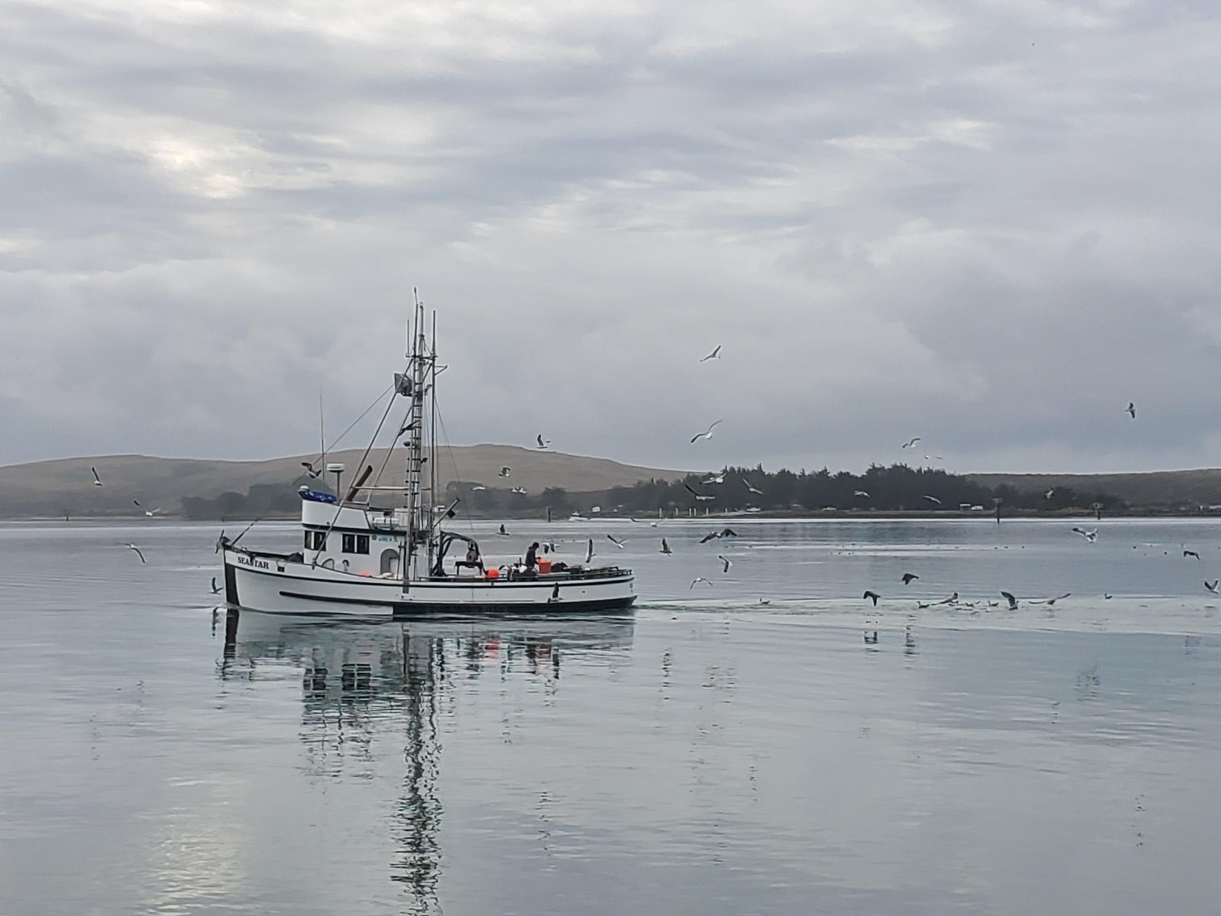 Fishing Boat, Bodega Bay, California | Scrolller