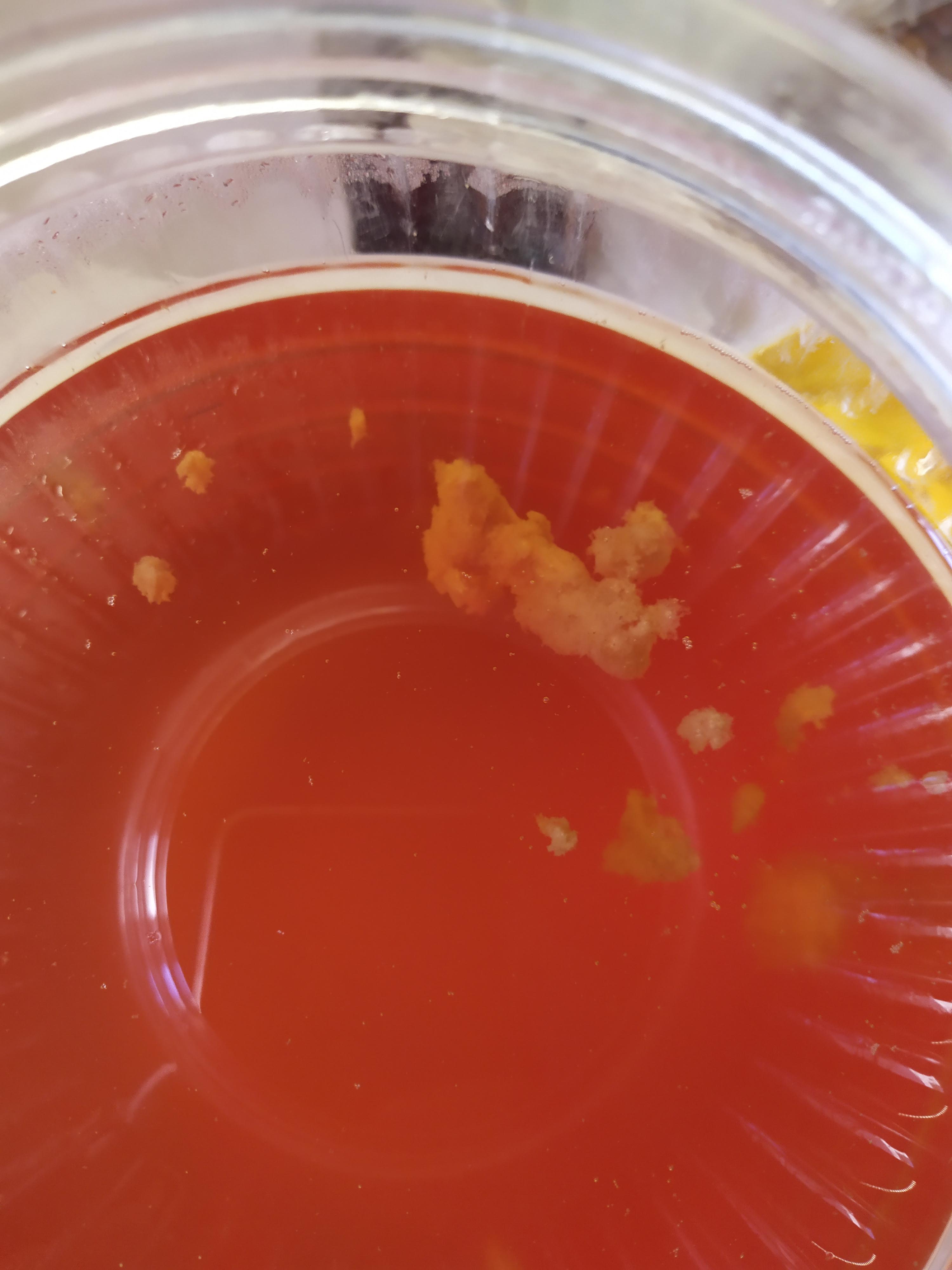 Floaters in my vinegar | Scrolller