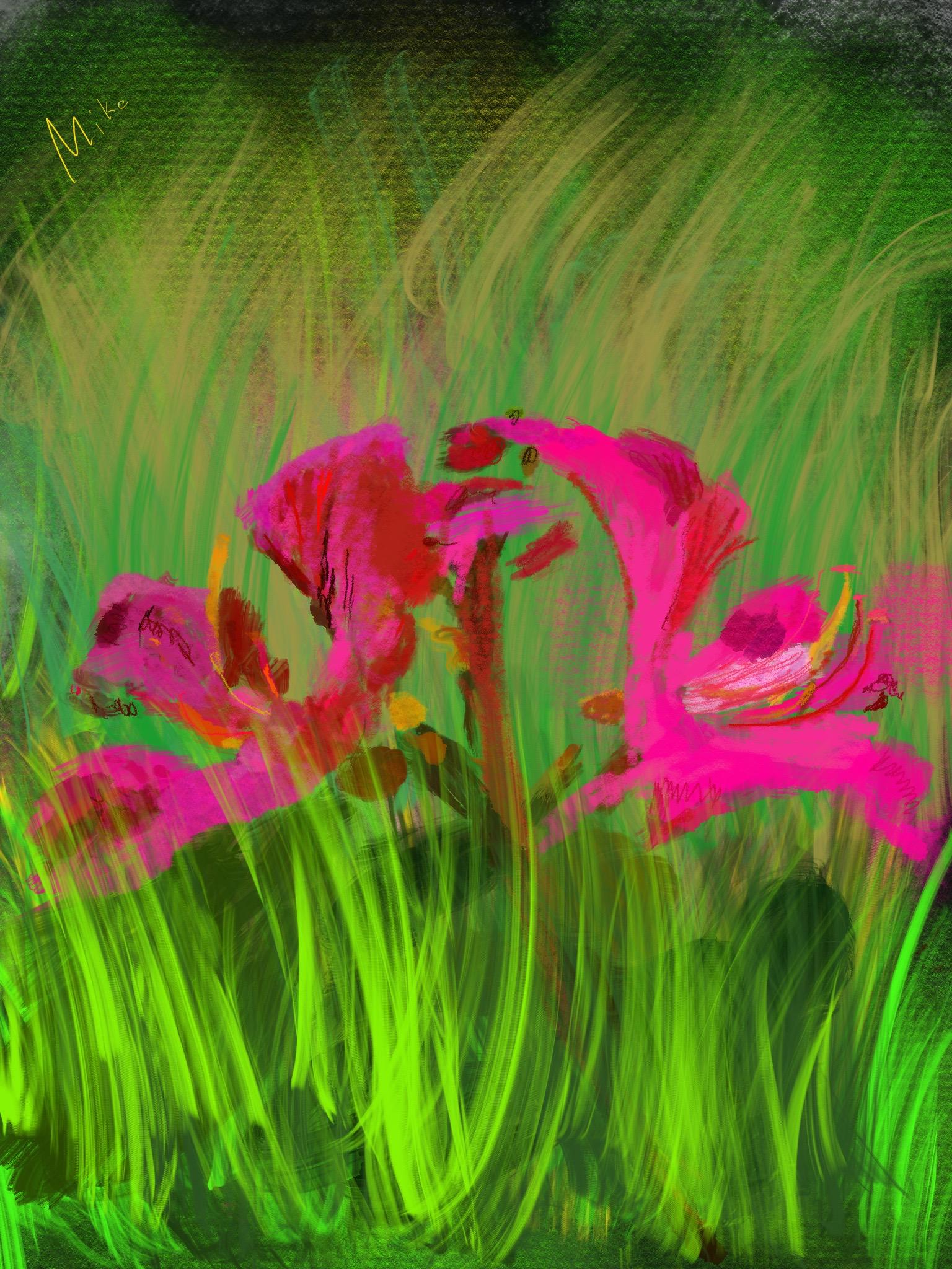 Flowers [oc] | Scrolller