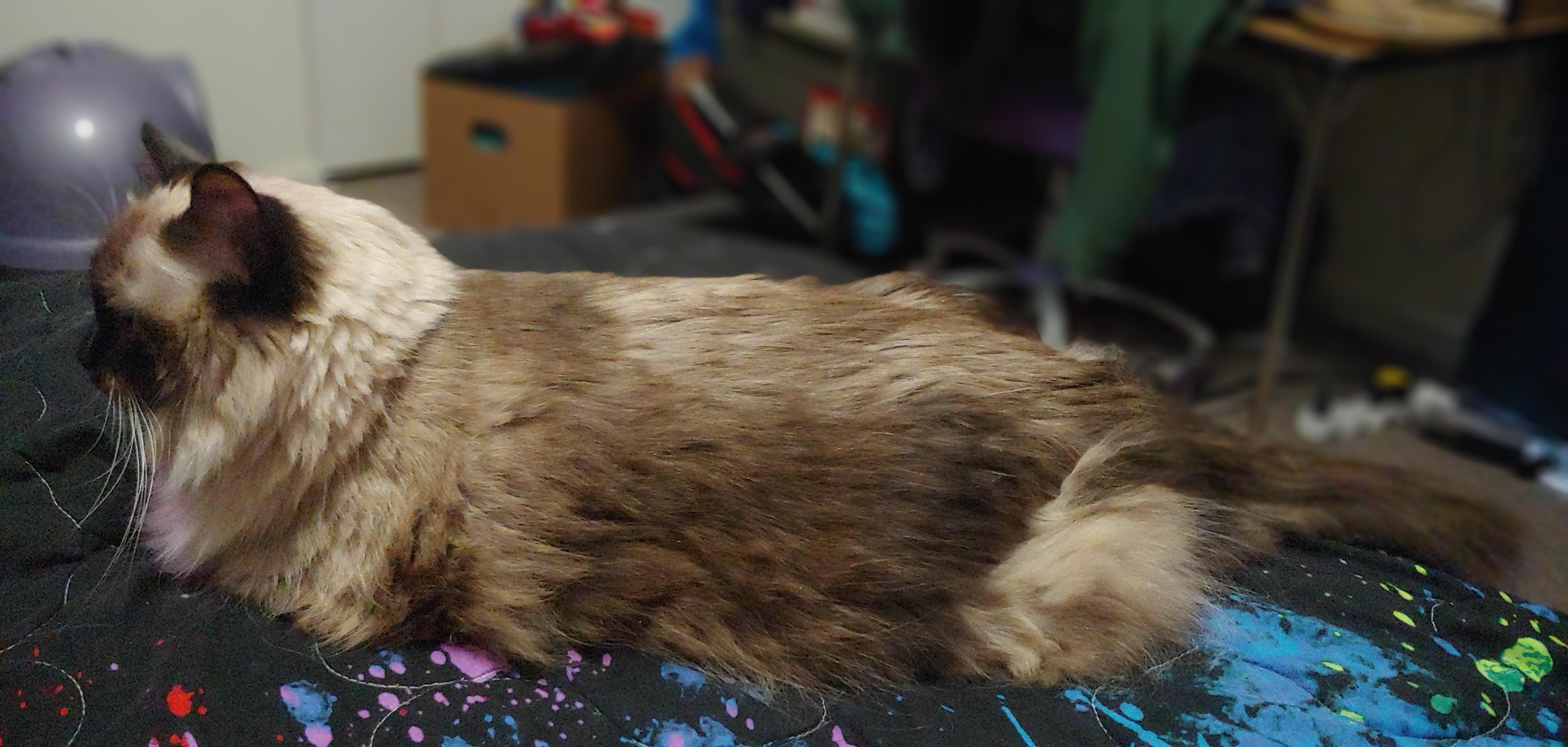 Fluffy bed loaf | Scrolller