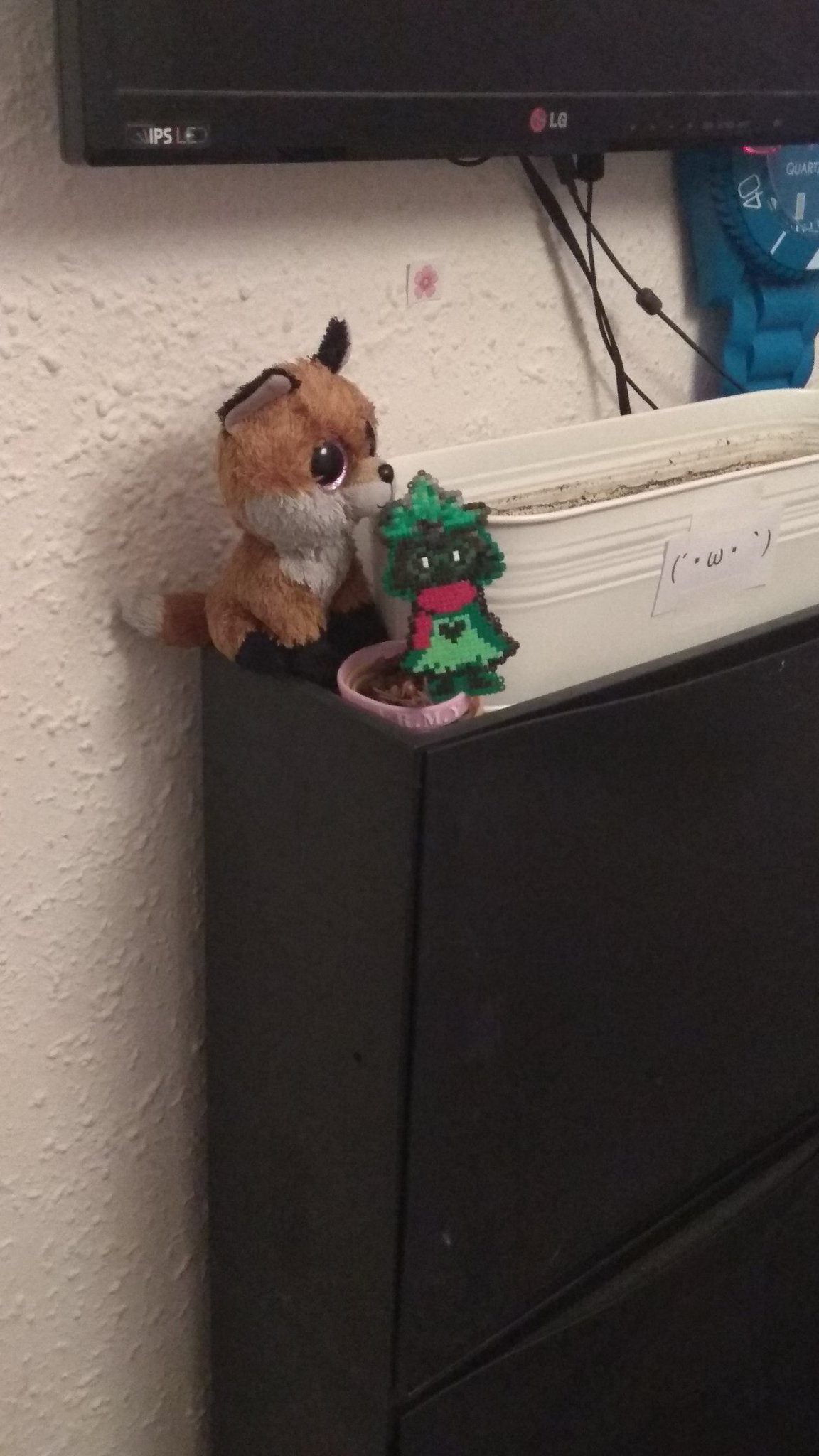 Fluffy boi spotted | Scrolller