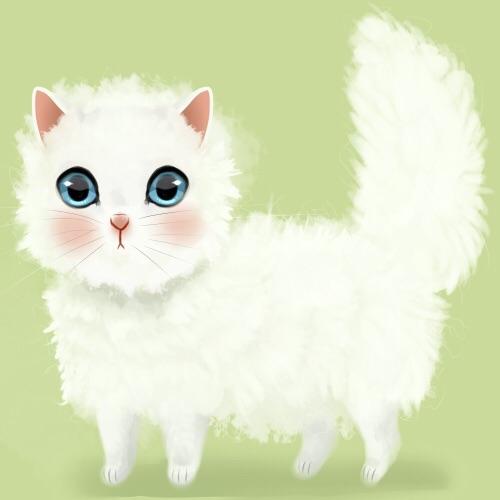 Fluffy cat; Cloudtail | Scrolller