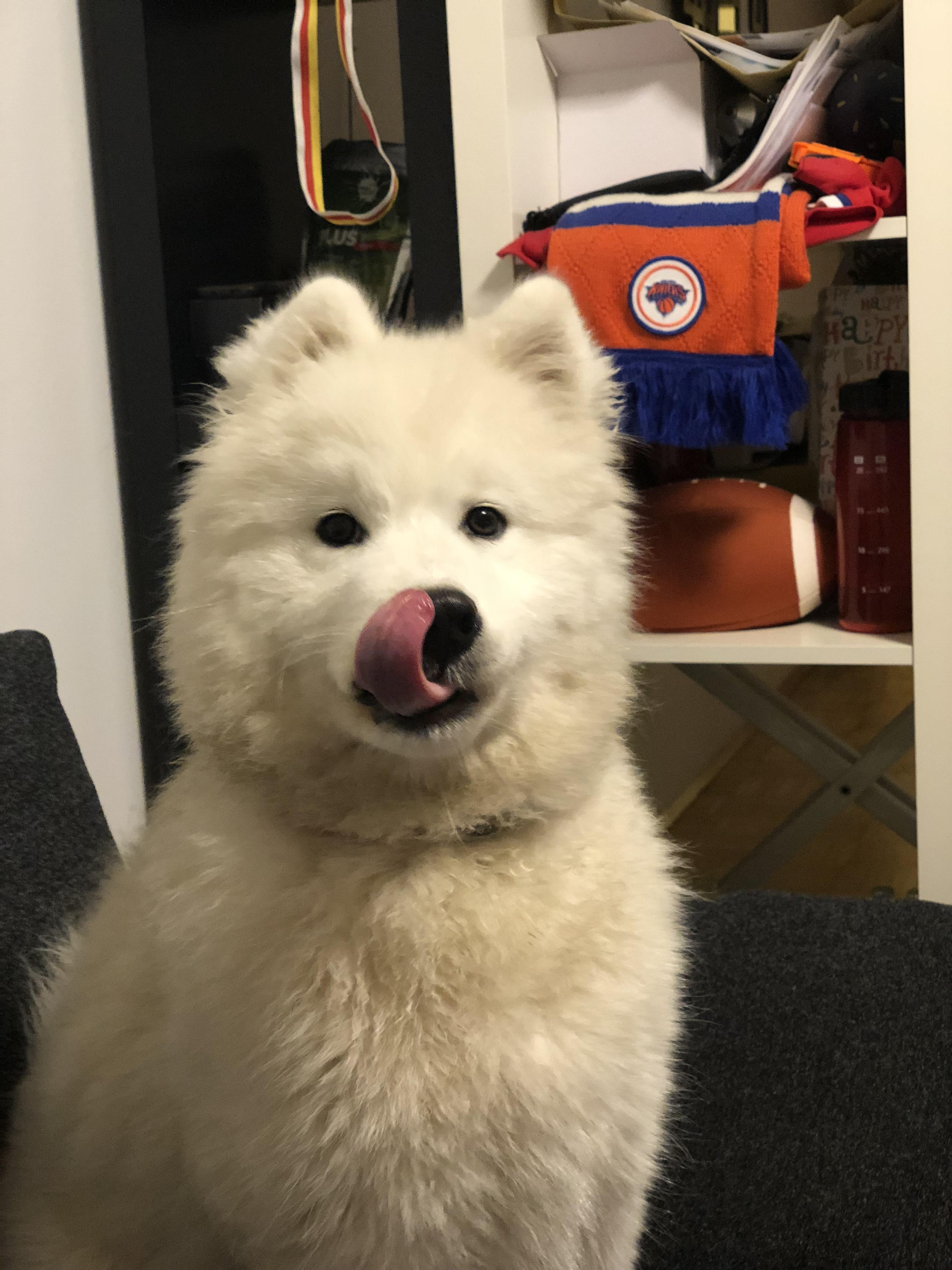 Fluffy cloud does a mlem | Scrolller