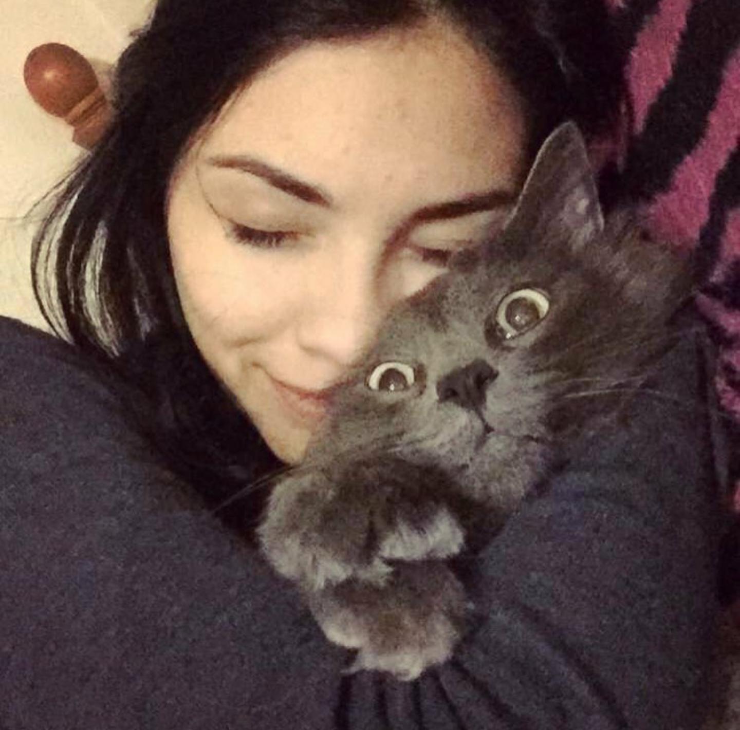 Fly, you fools! (x r/funny) | Scrolller