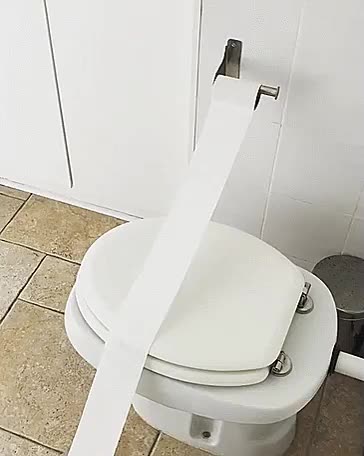 Follow the toilet paper | Scrolller