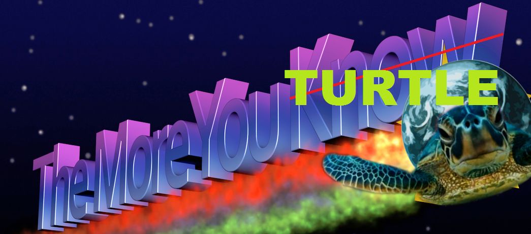 For all I've learned at /r/ImaginaryTurtleWorlds | Scrolller