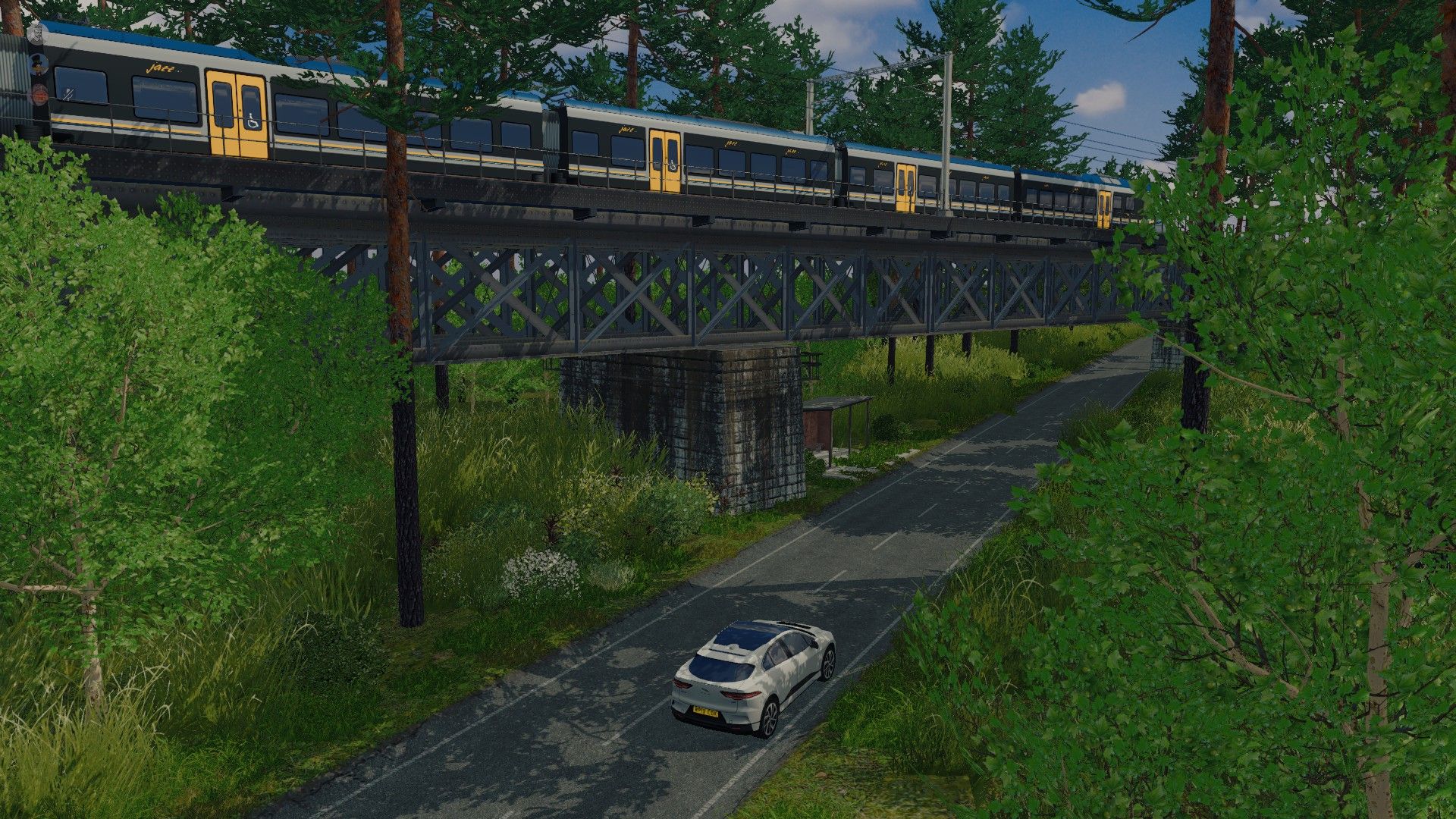 Forest road | Scrolller