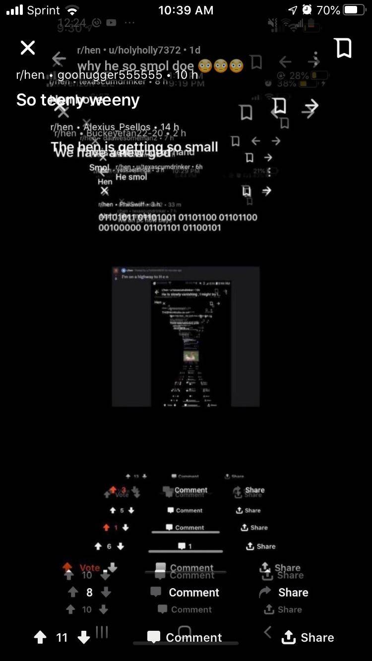 Forever Hen | Scrolller