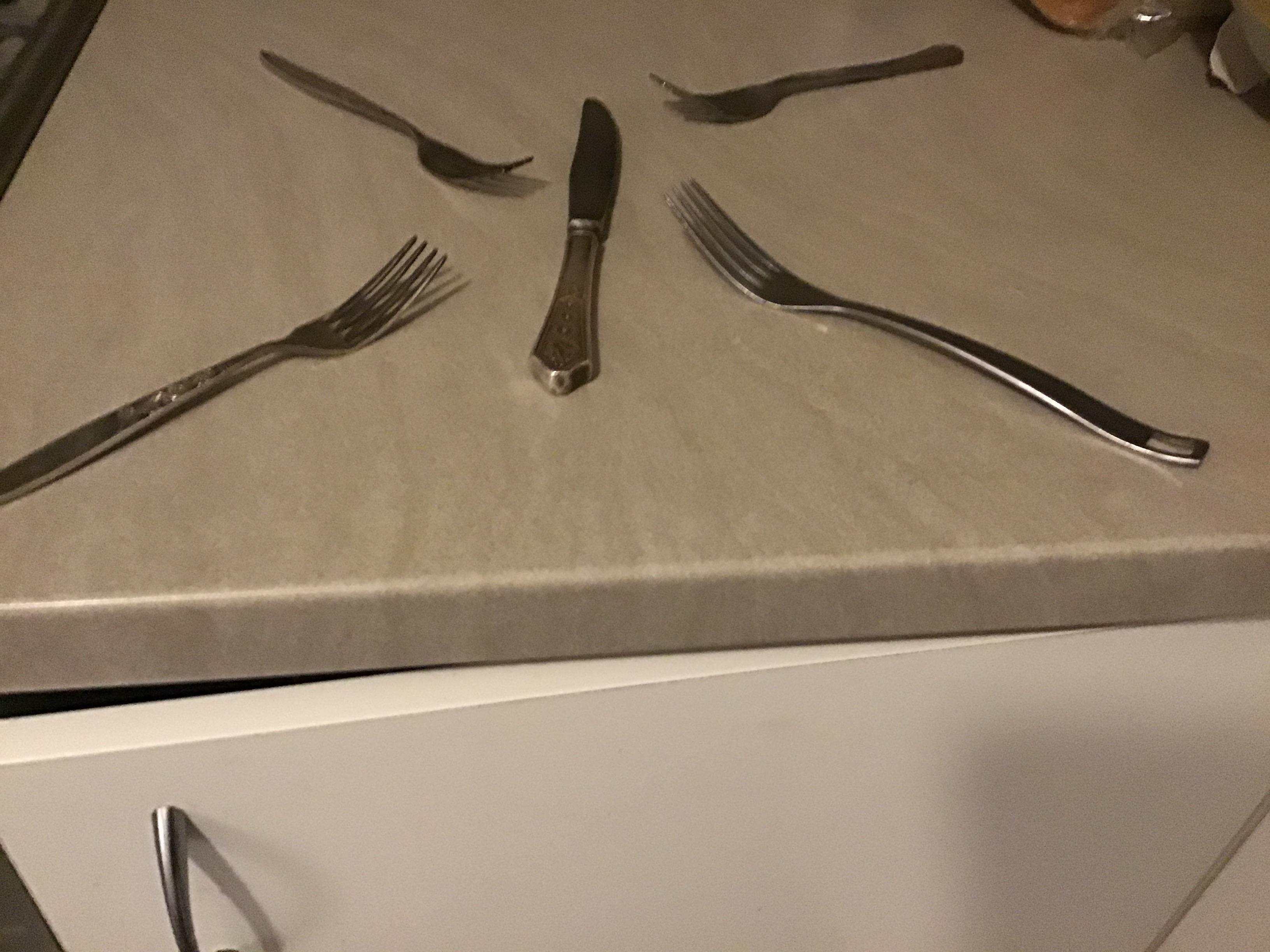 Fork cult | Scrolller