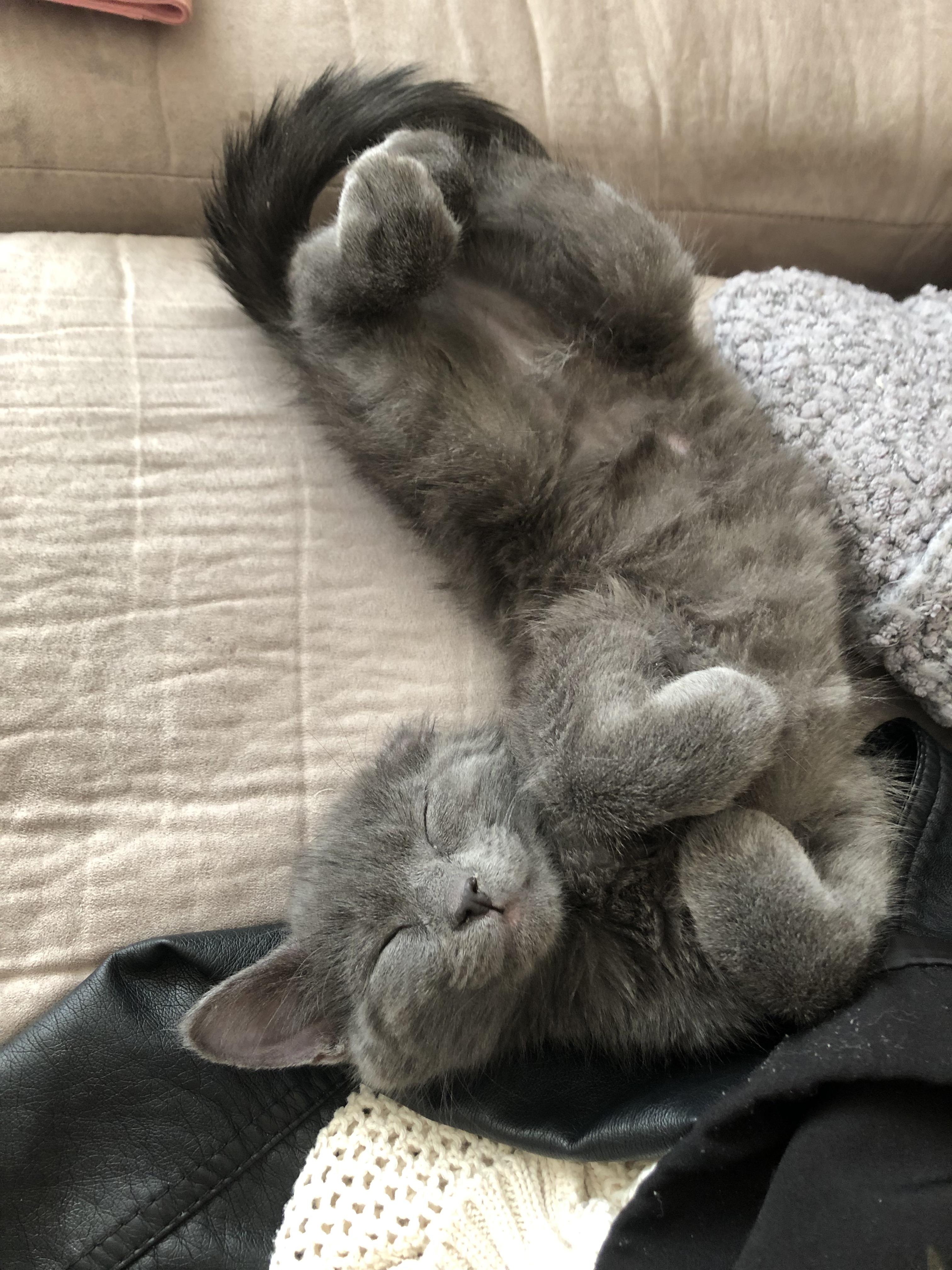 four out of four curled feetsies! | Scrolller
