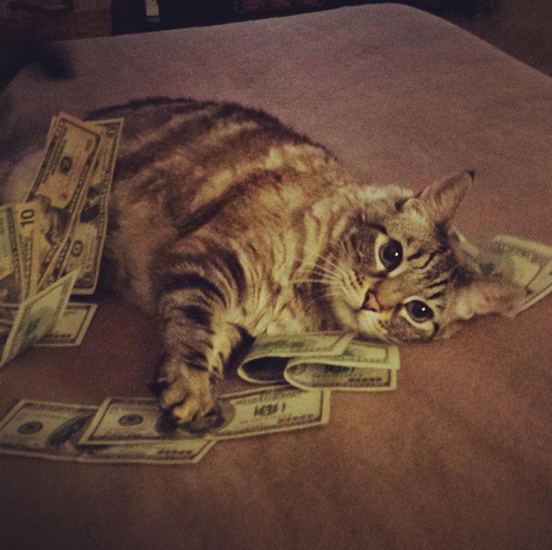 Frankie the pimp | Scrolller