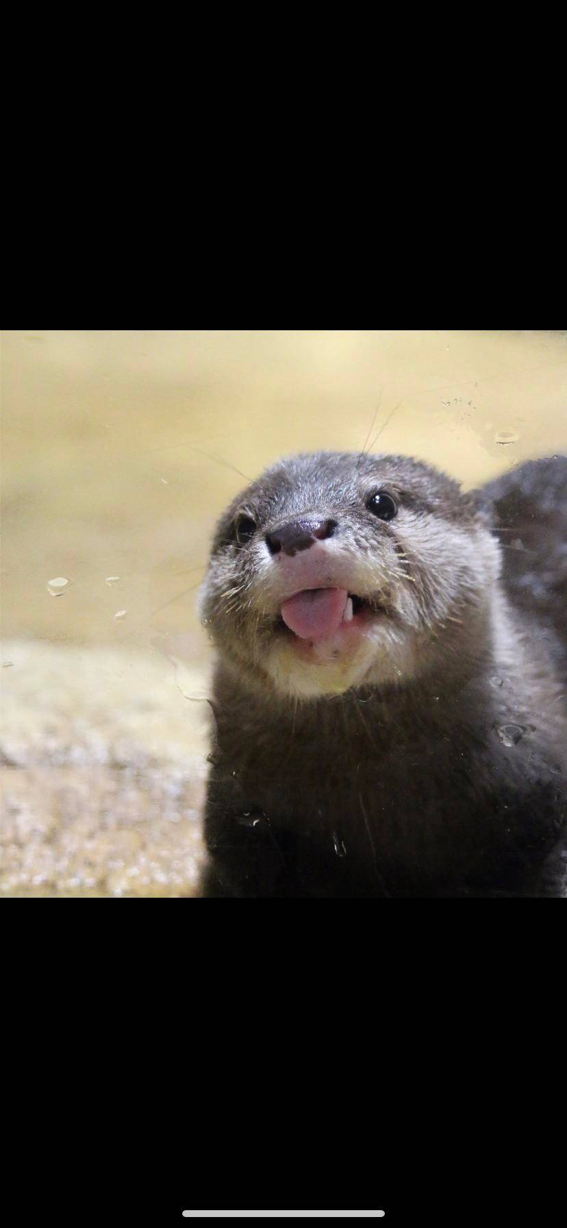 Free screen clean anyone? | Scrolller