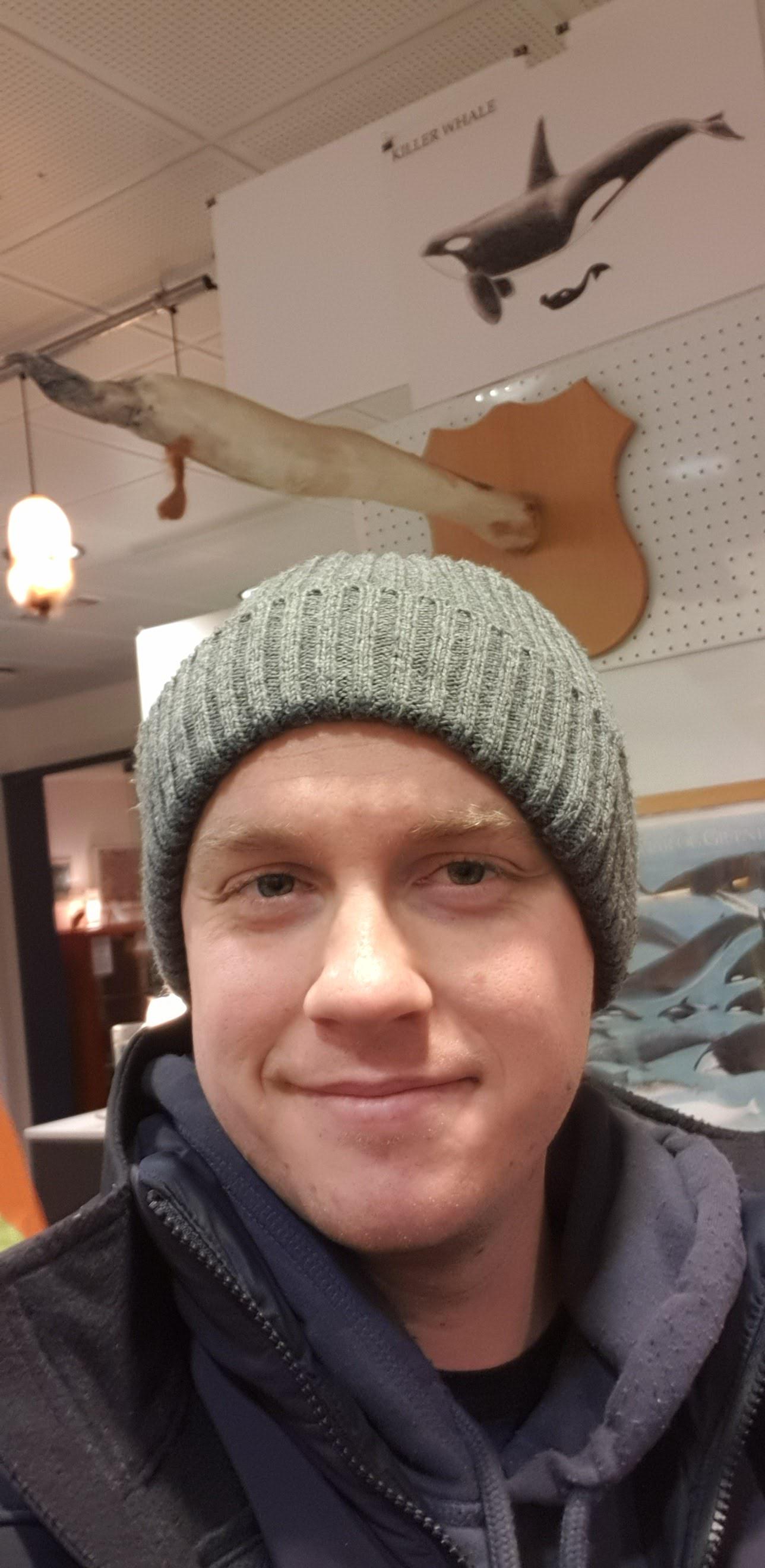 Free Willy | Scrolller