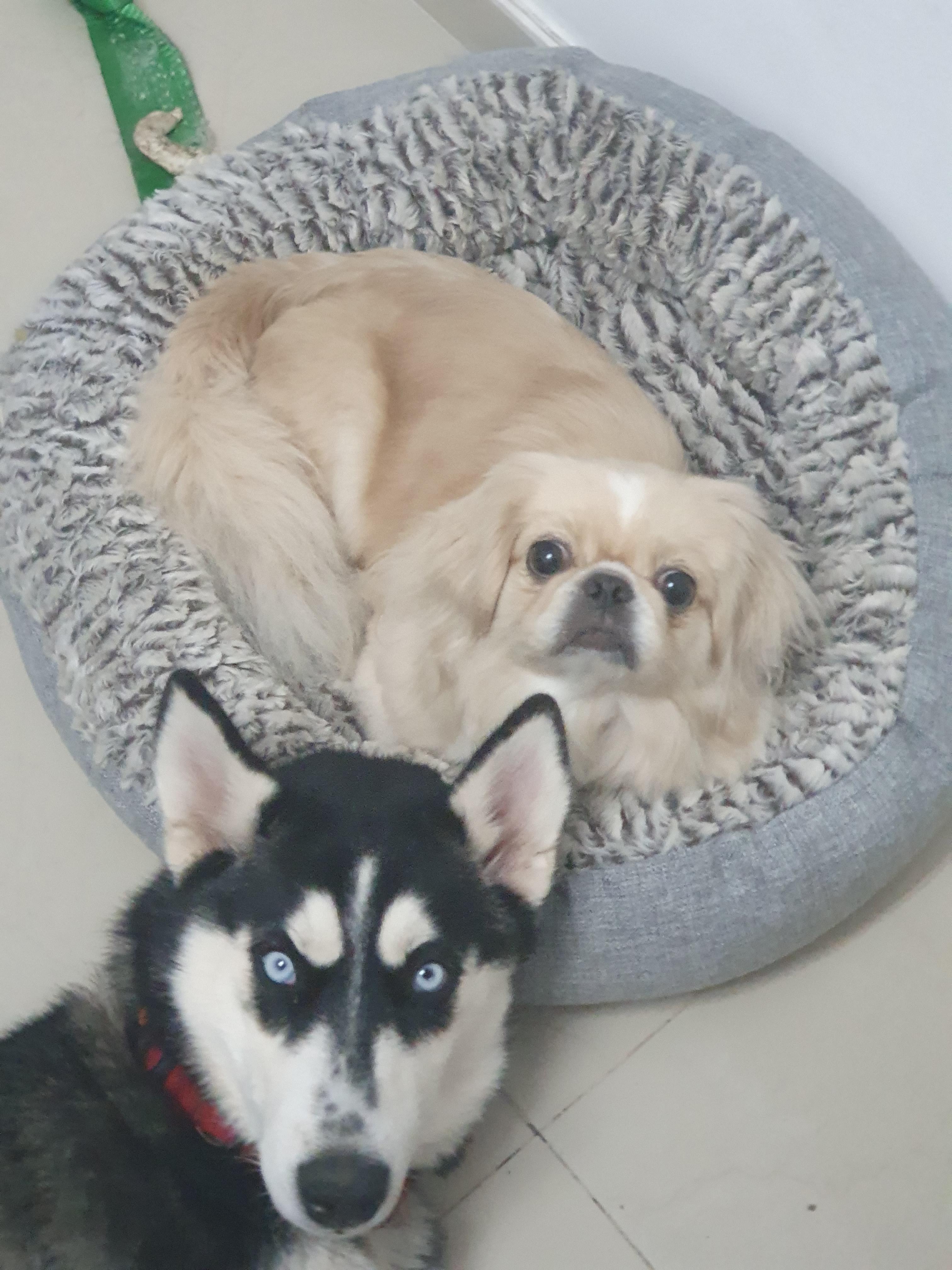 Frenemies | Scrolller