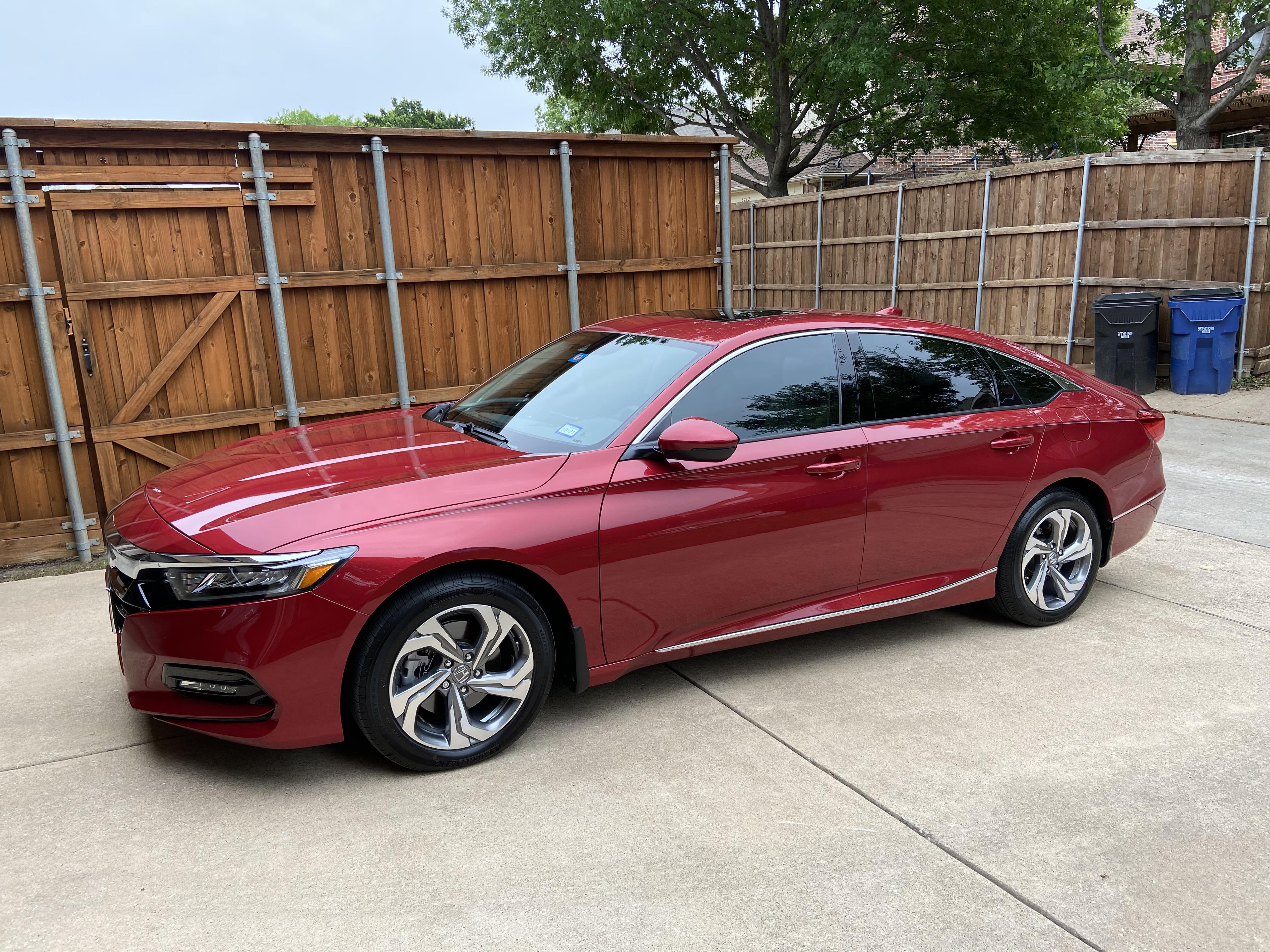 Freshly detailed 2019 Accord EX-L 2.0T | Scrolller