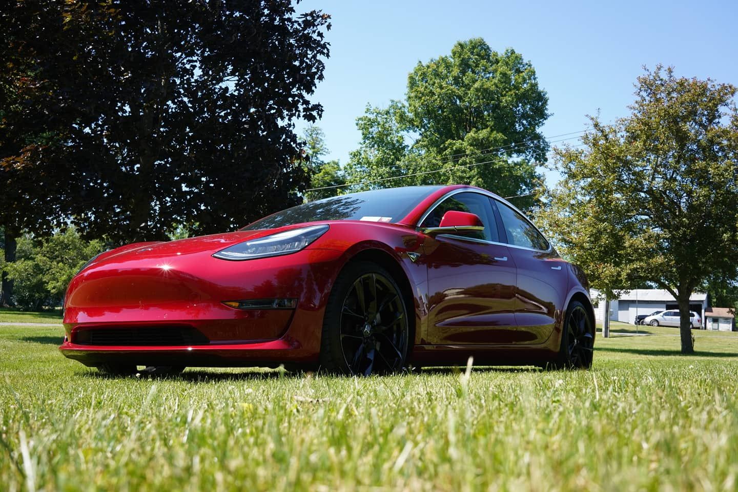 Freshly detailed | Scrolller