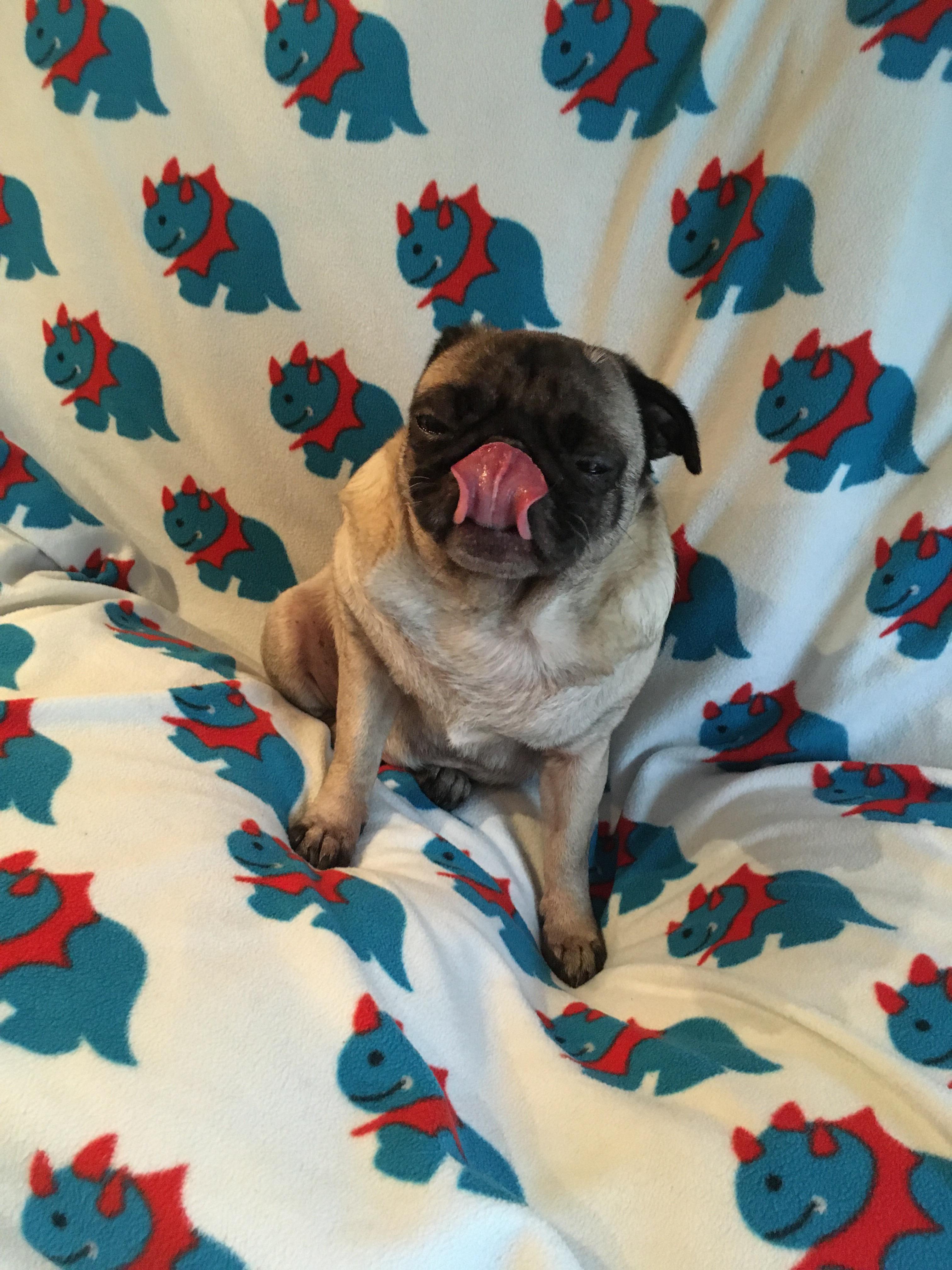 Frida does the best mlems | Scrolller