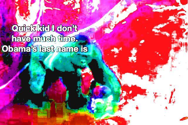 Fried Harambe. | Scrolller