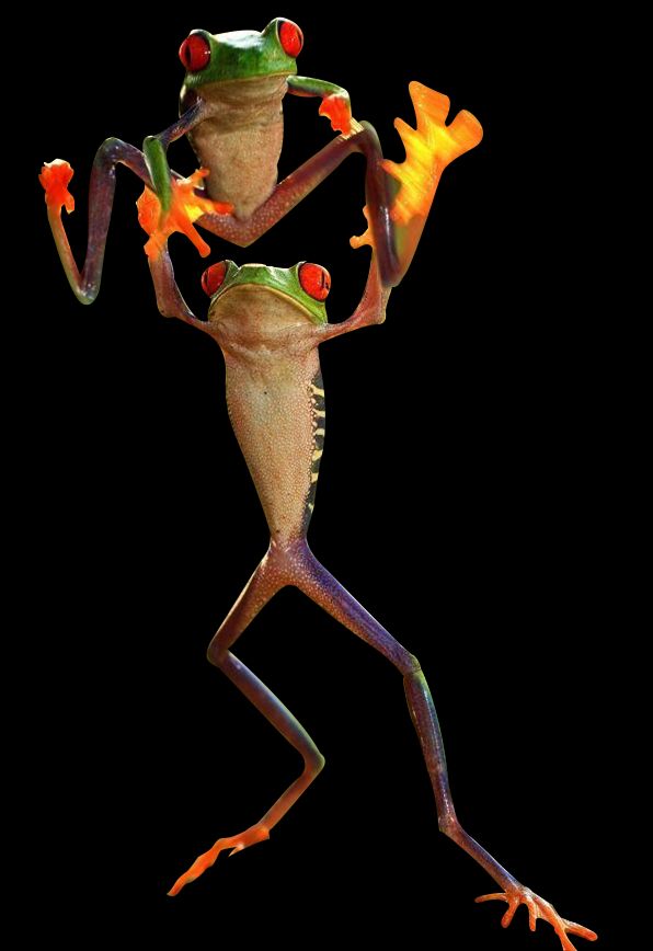 Frogs jumping cutout | Scrolller