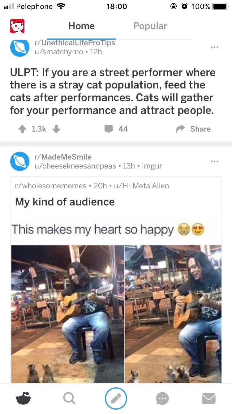 From my feed | Scrolller