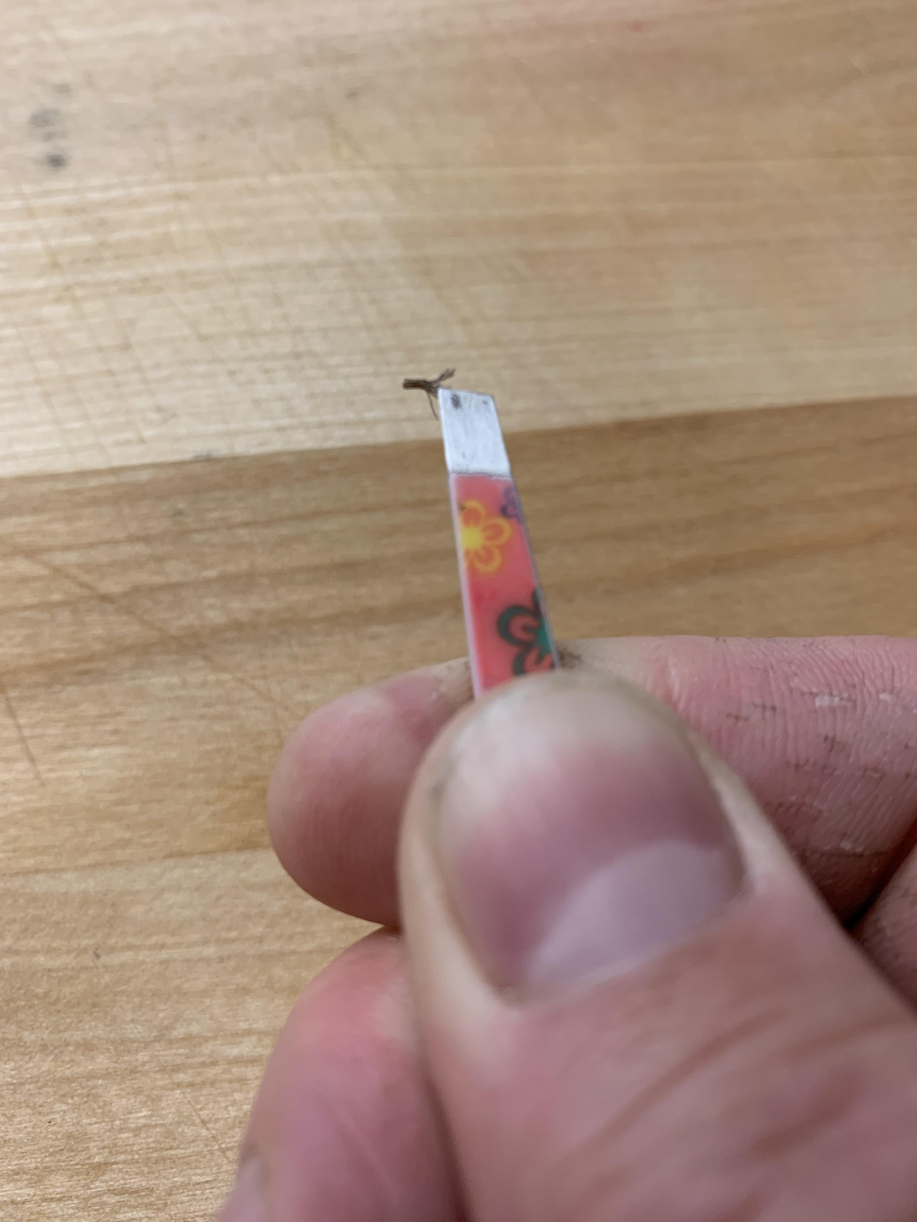 From one pore in my jawline! | Scrolller