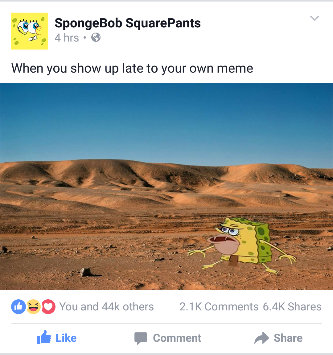 From the official SpongeBob SquarePants Facebook page | Scrolller