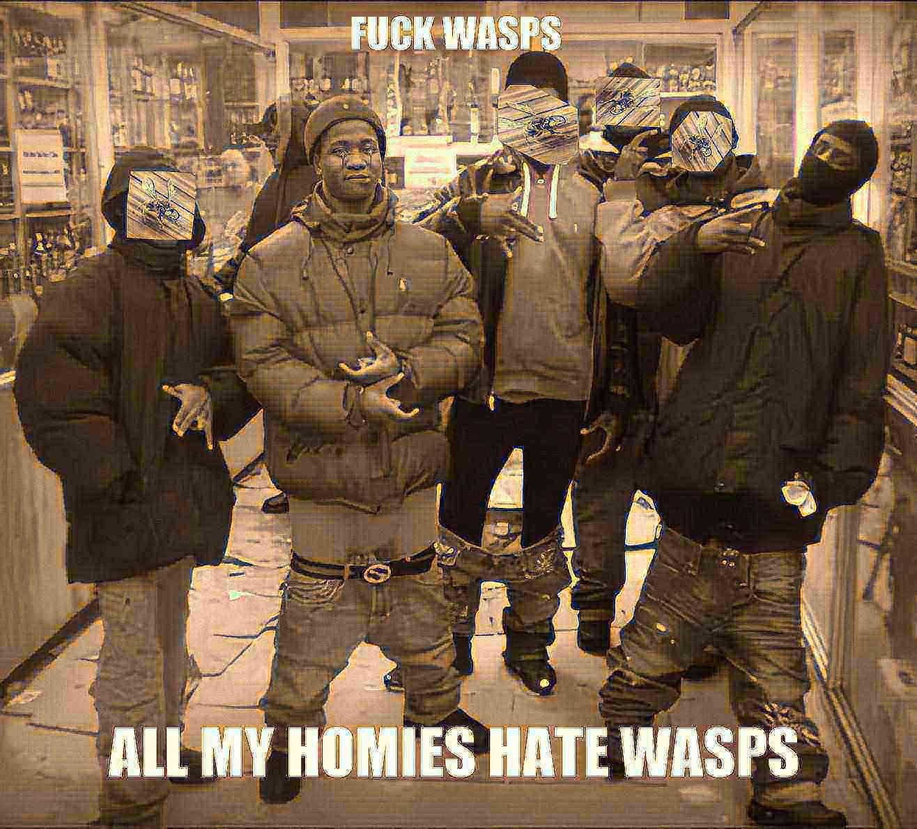 Fuck wasps | Scrolller