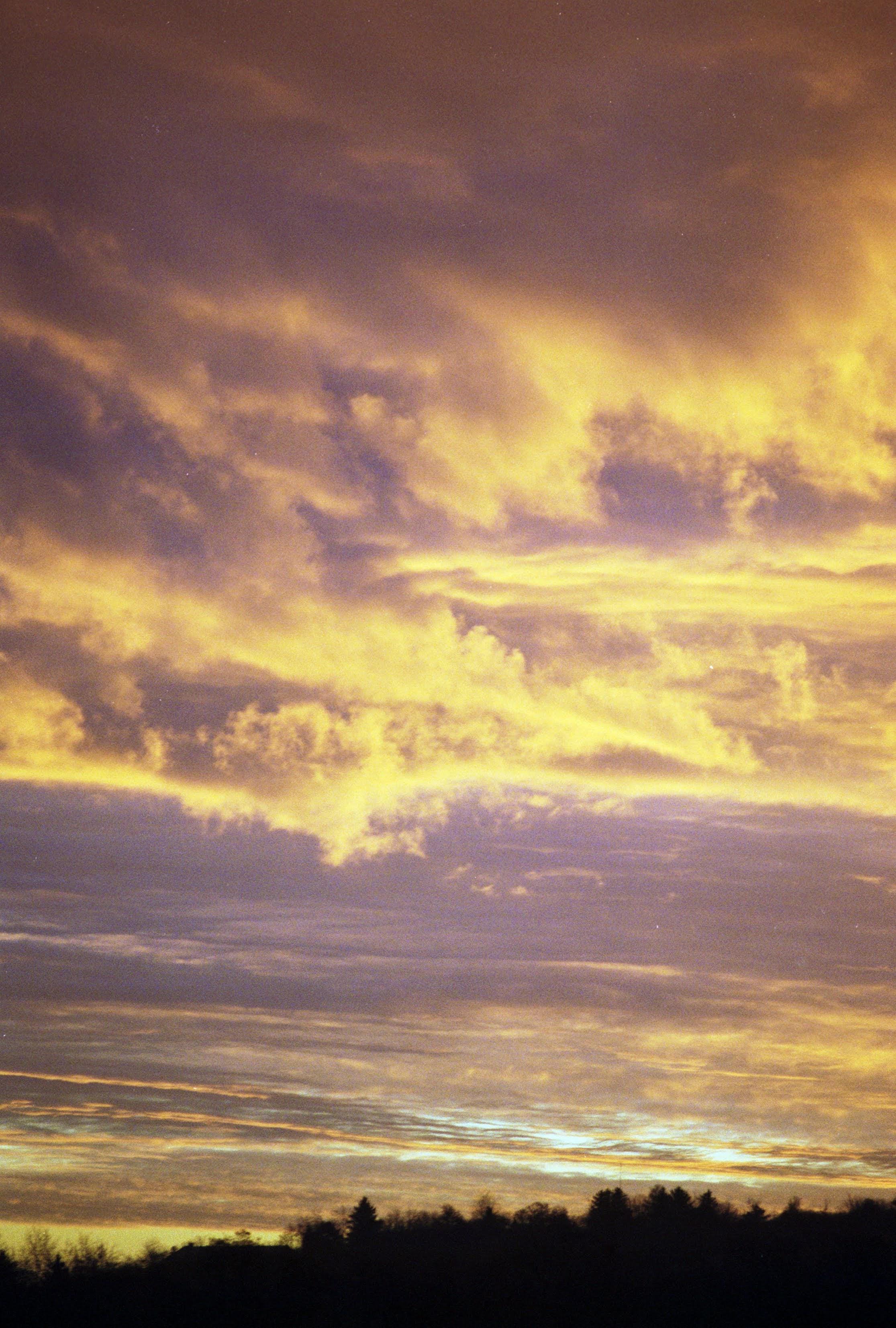 Fuji C200 | Scrolller