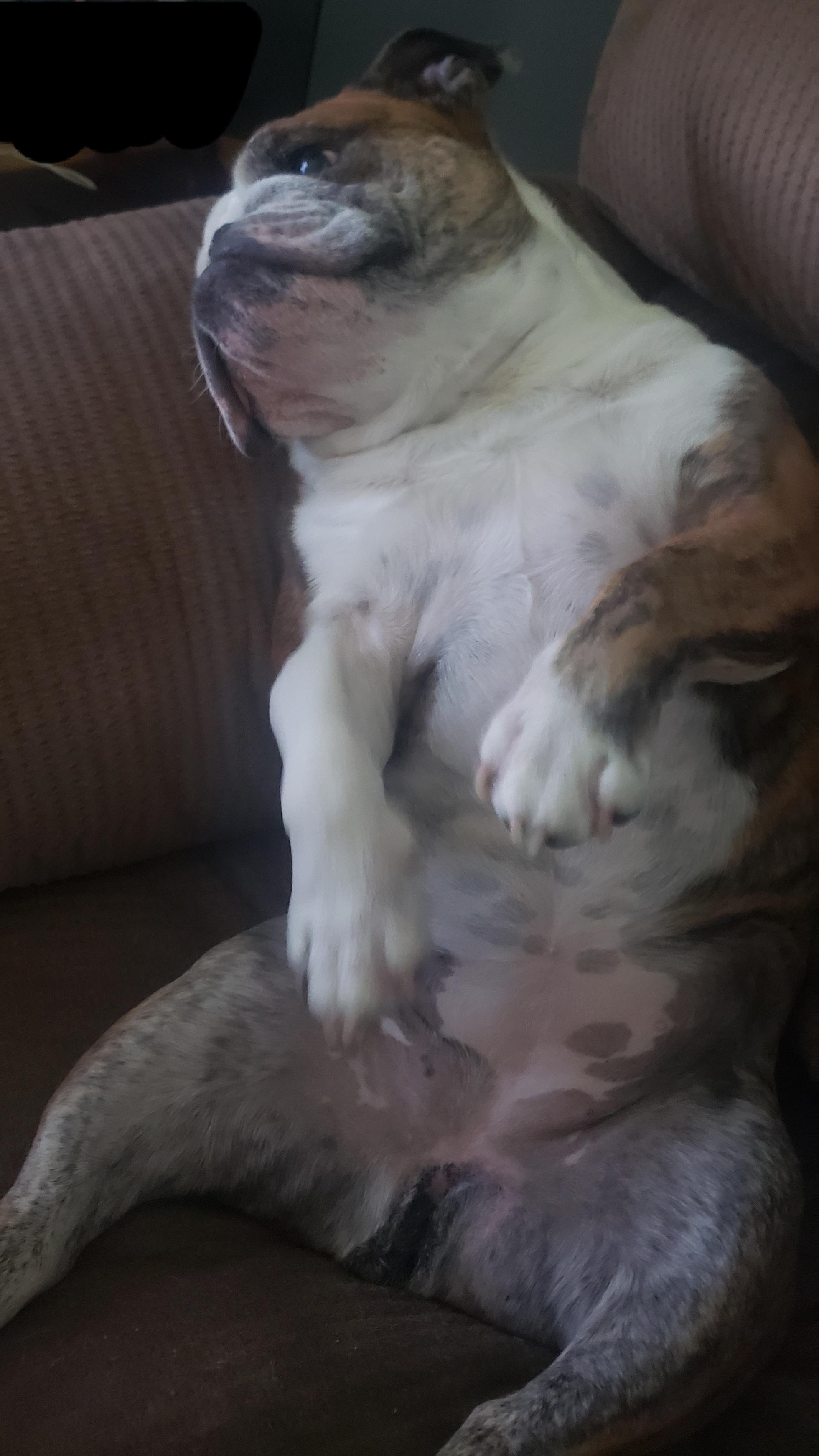 Full frontal | Scrolller