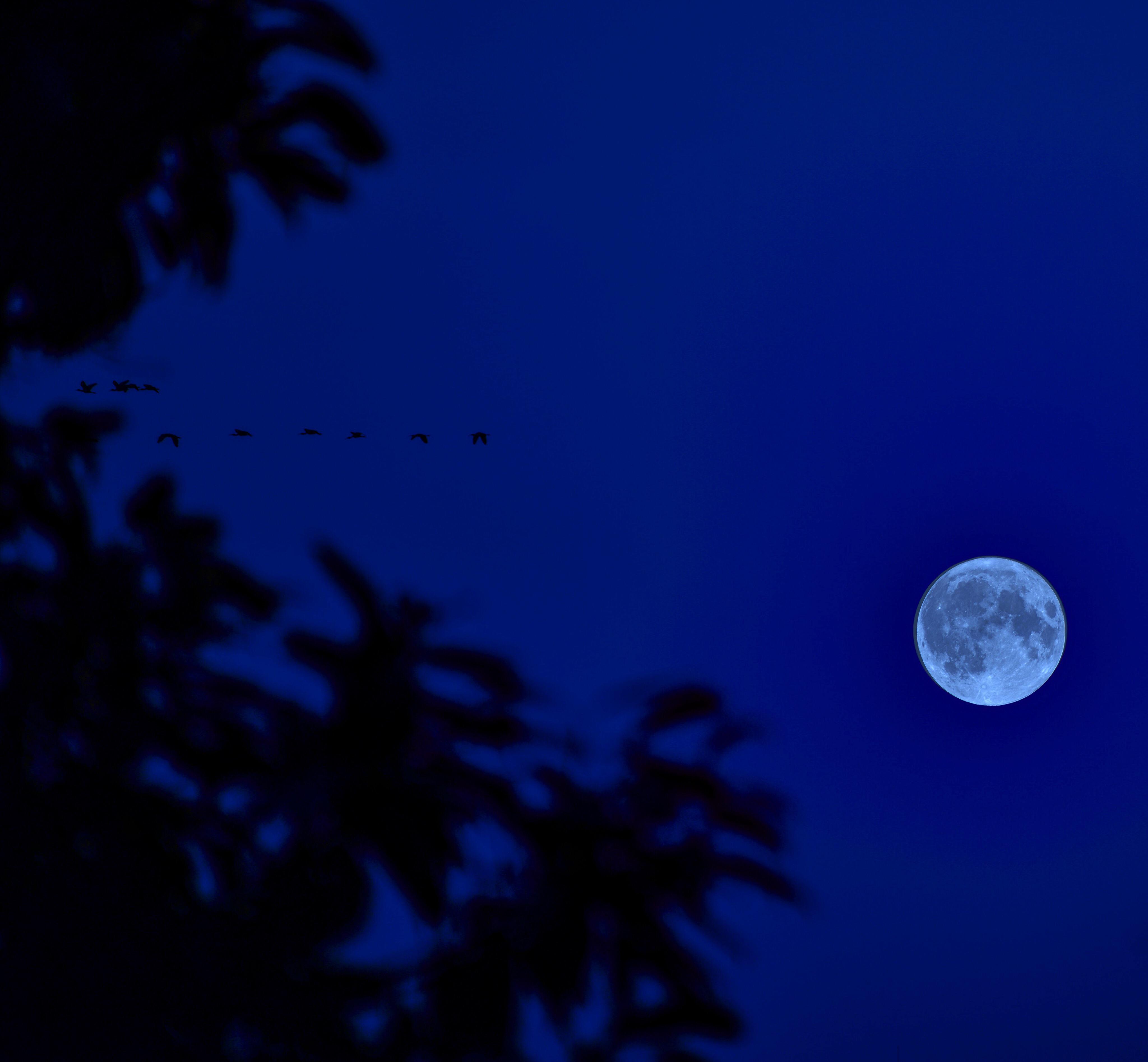 Full moon | Scrolller