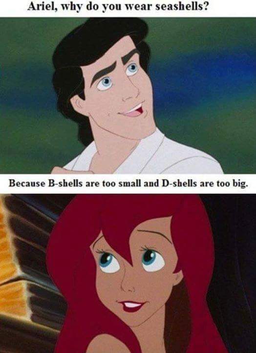 [Fun and games] Why does Ariel wear sea shells? | Scrolller