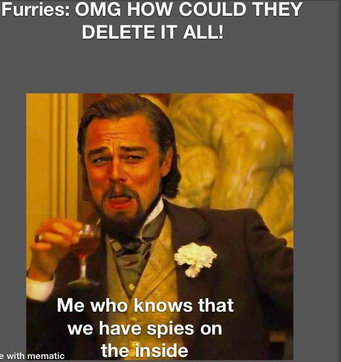 Funny_irl | Scrolller