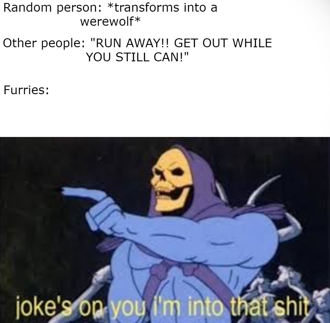 Furries Irl Scrolller