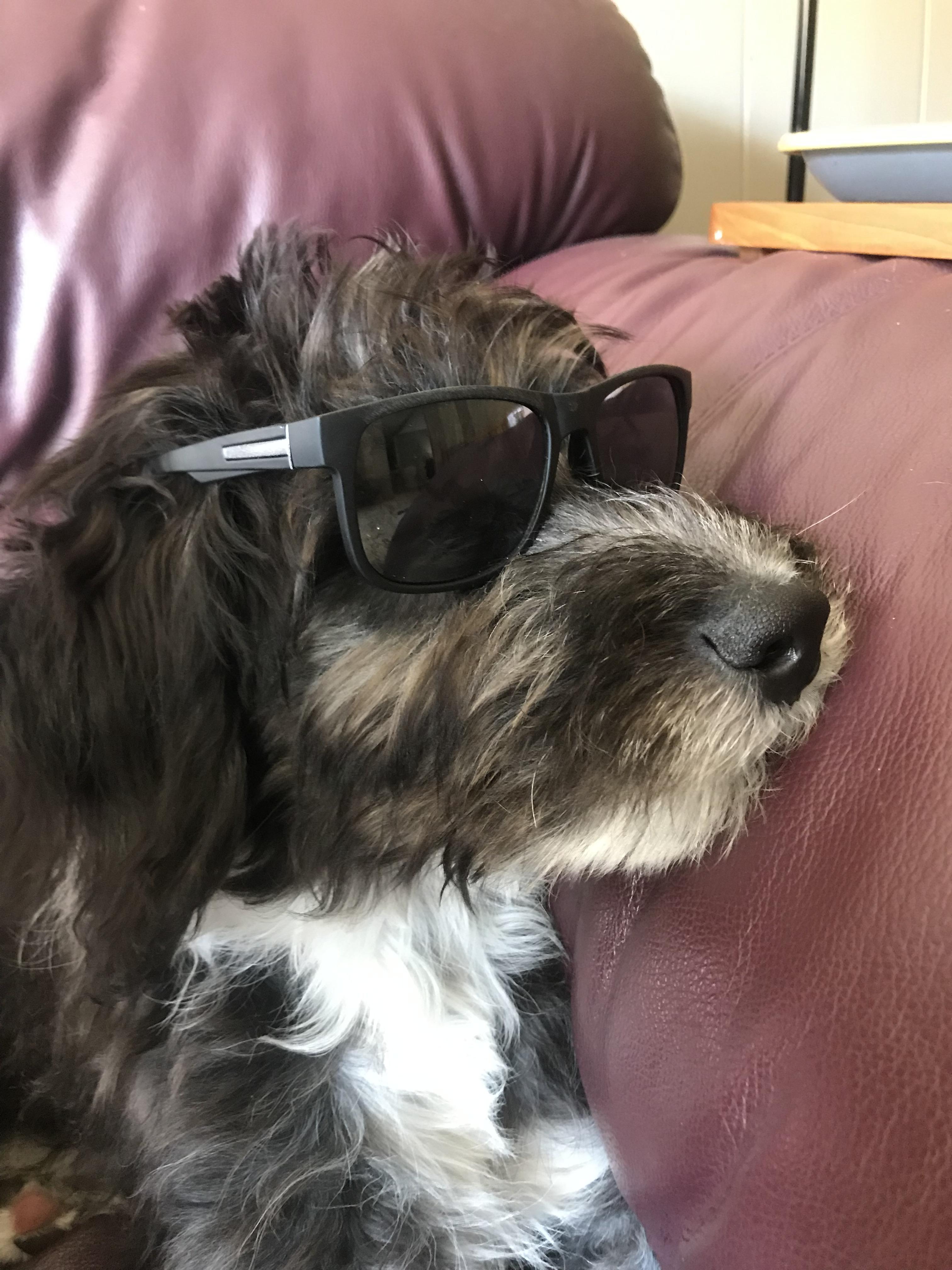 Future so bright | Scrolller