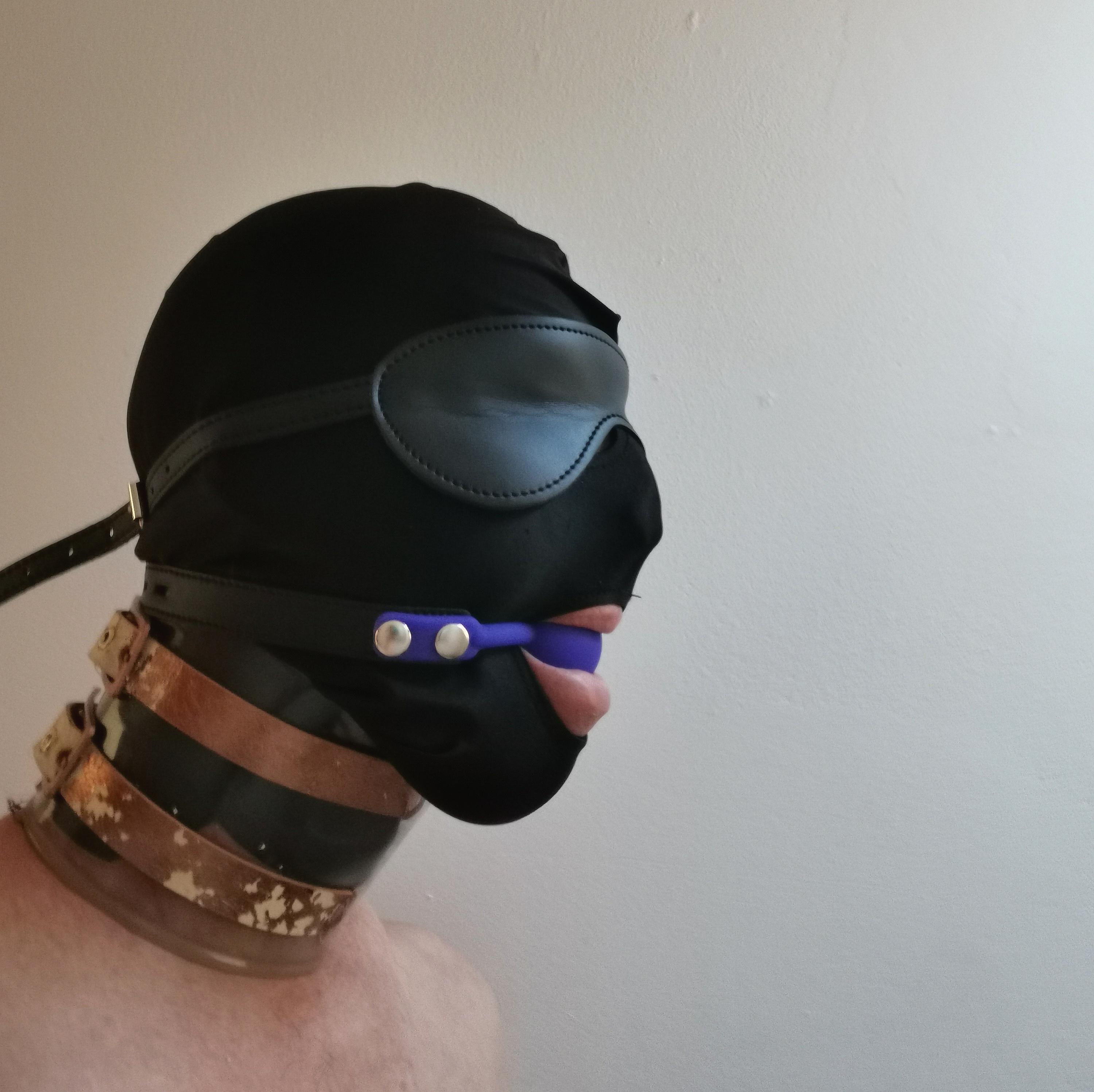 Gagged, blindfolded, strict collared.. | Scrolller
