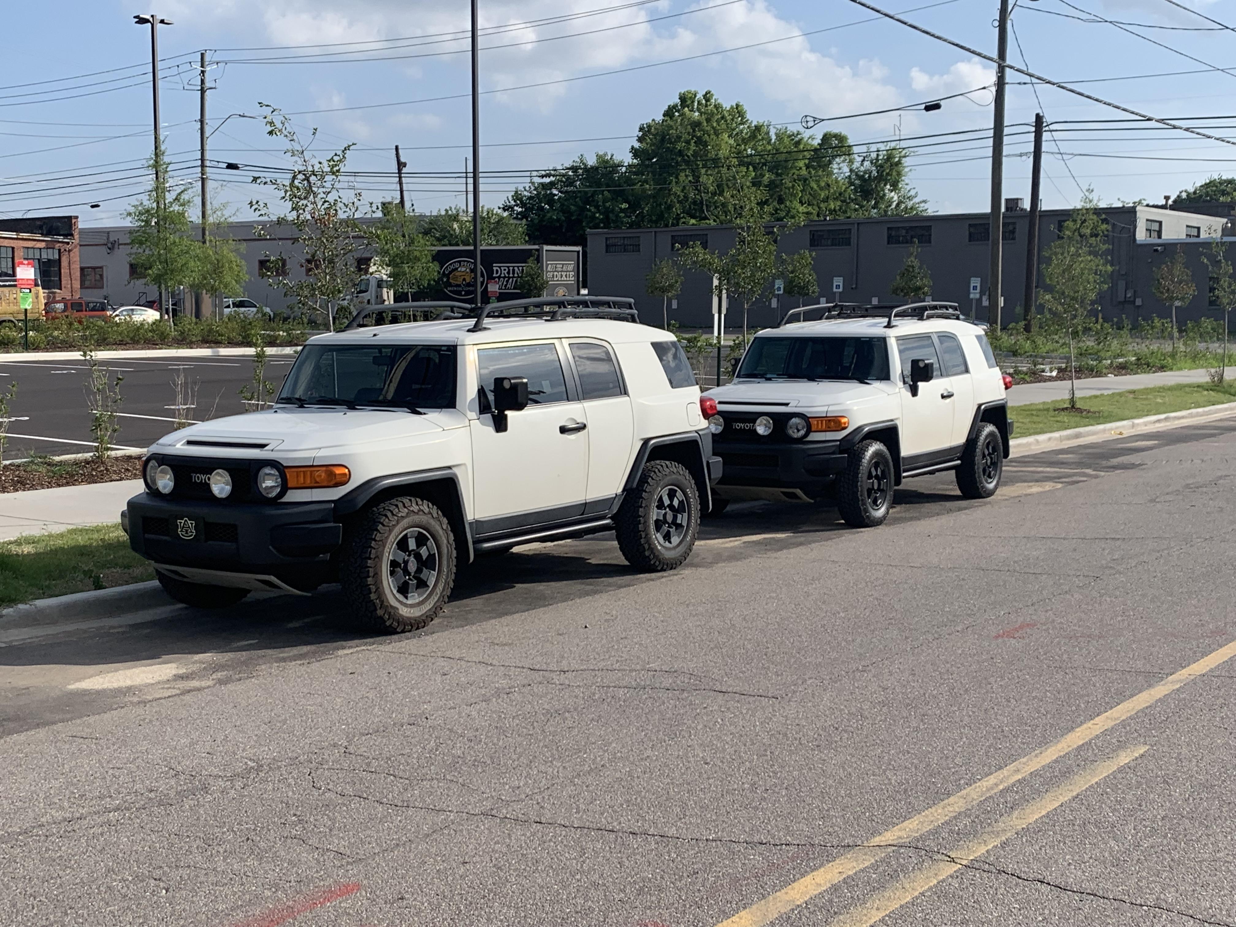 Gang gang | Scrolller