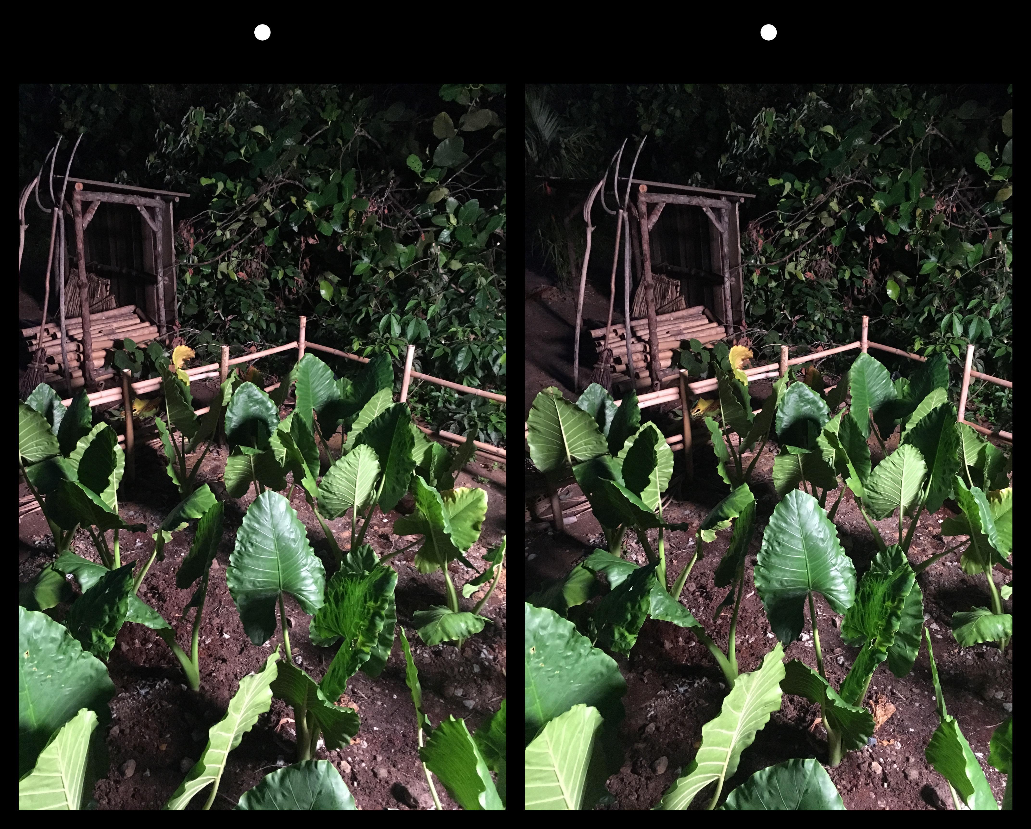 Garden Parallel | Scrolller