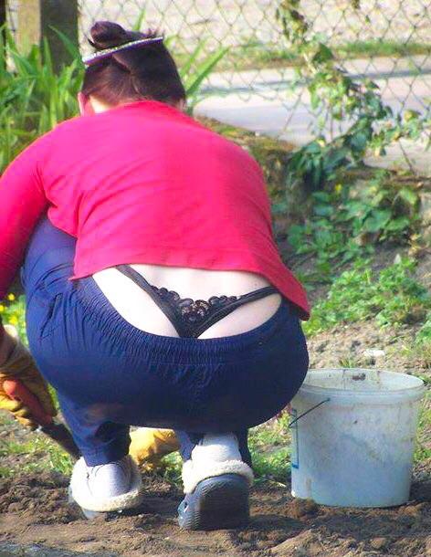 Gardening | Scrolller