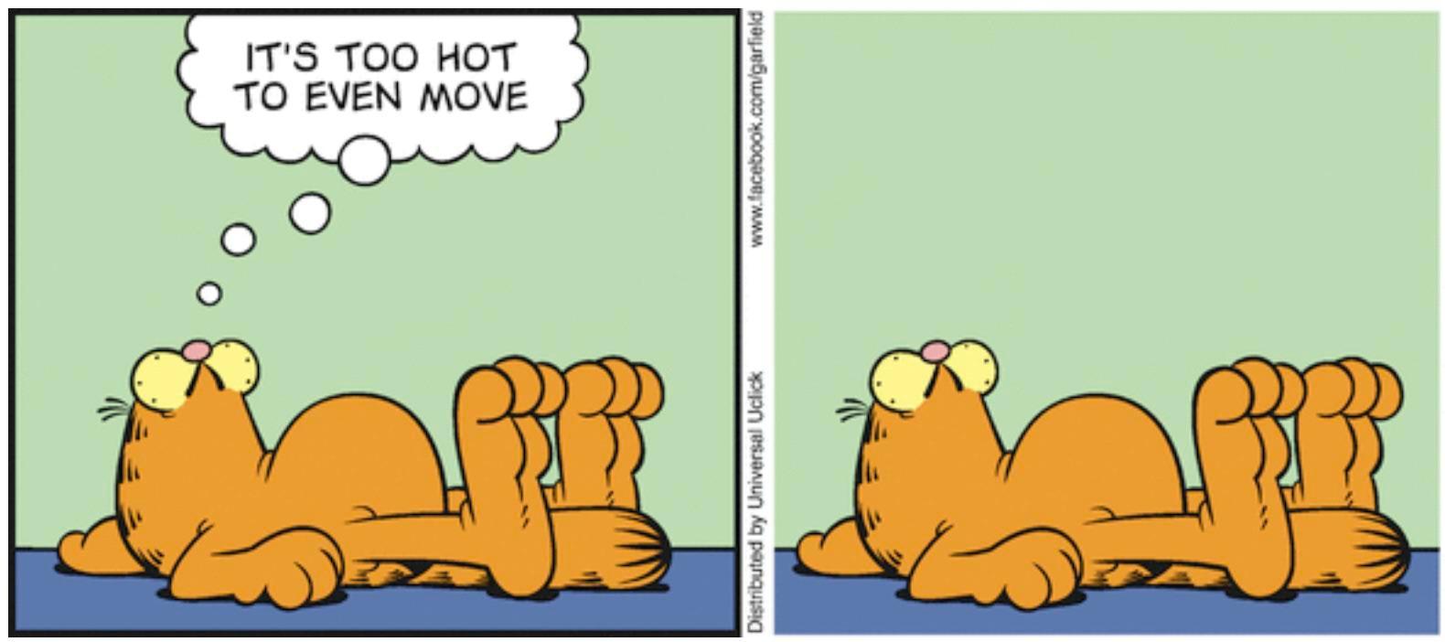 Garfield gets heat stroke | Scrolller