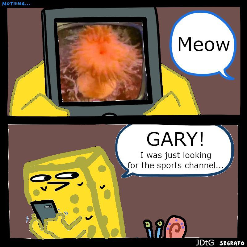 Gary knows what's up | Scrolller