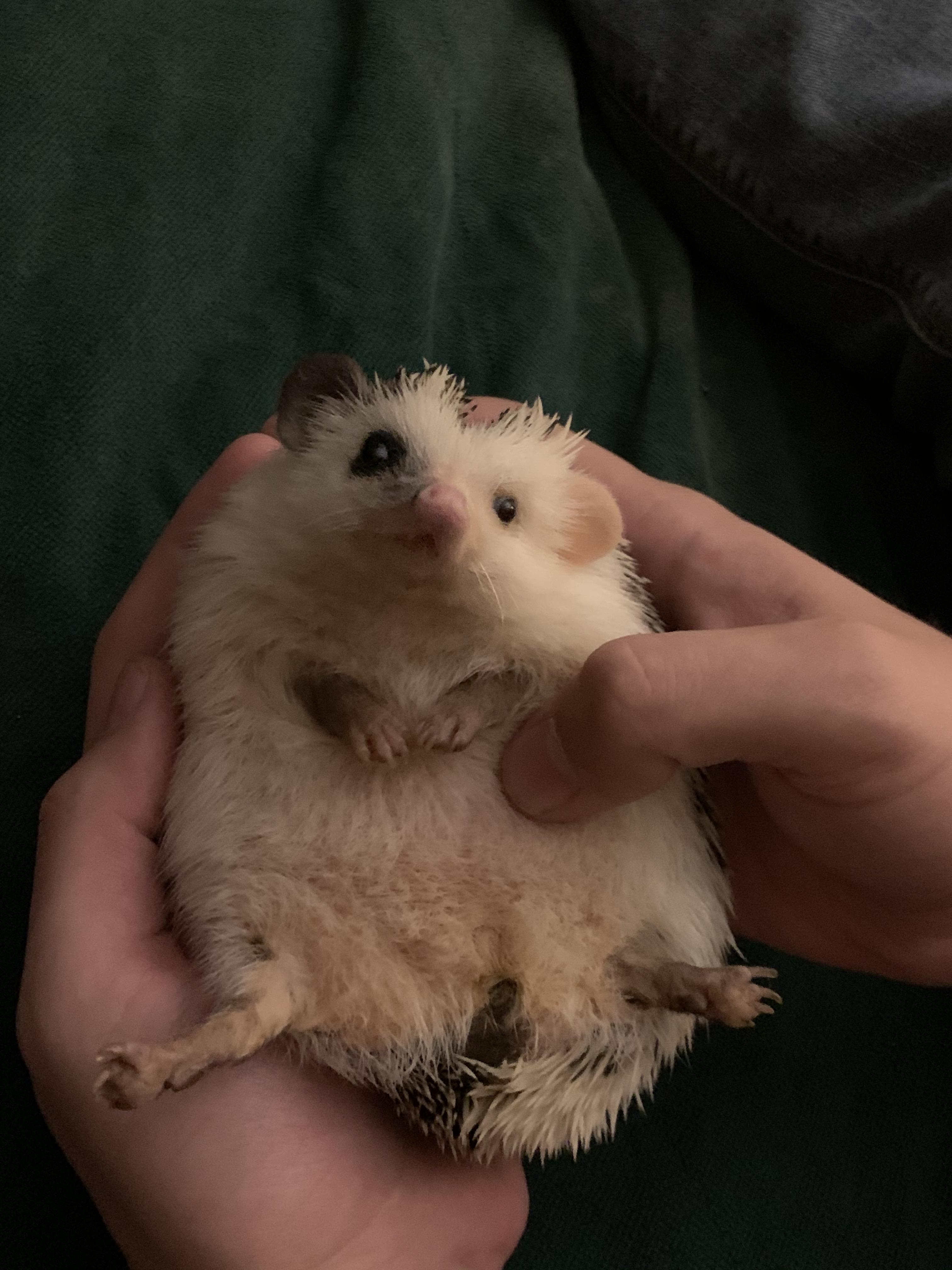 Gary looks so polite and yet looks like she’s plotting our deaths. | Scrolller